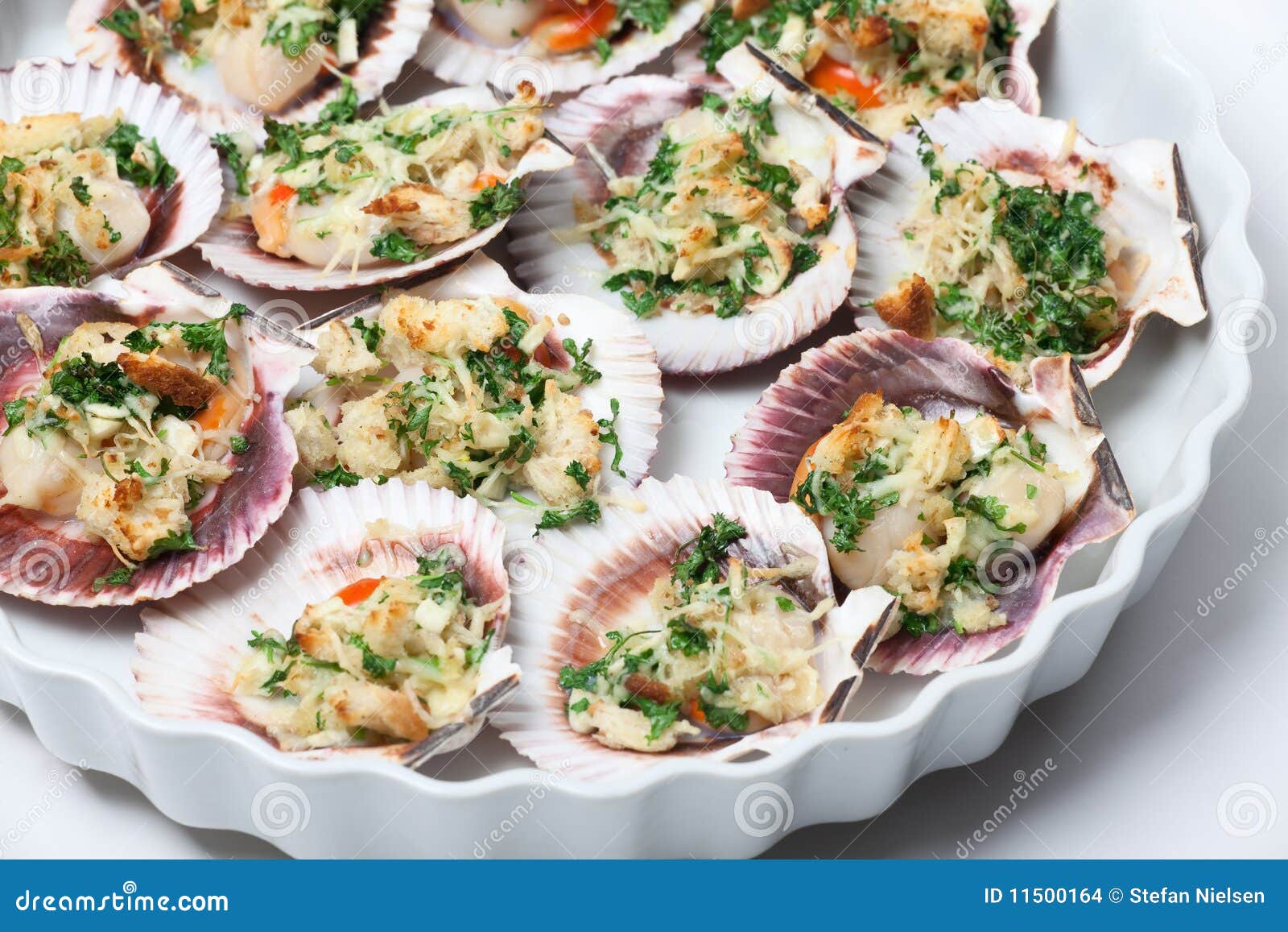 Cooked scallops stock photo. Image of close, nutritional - 11500164