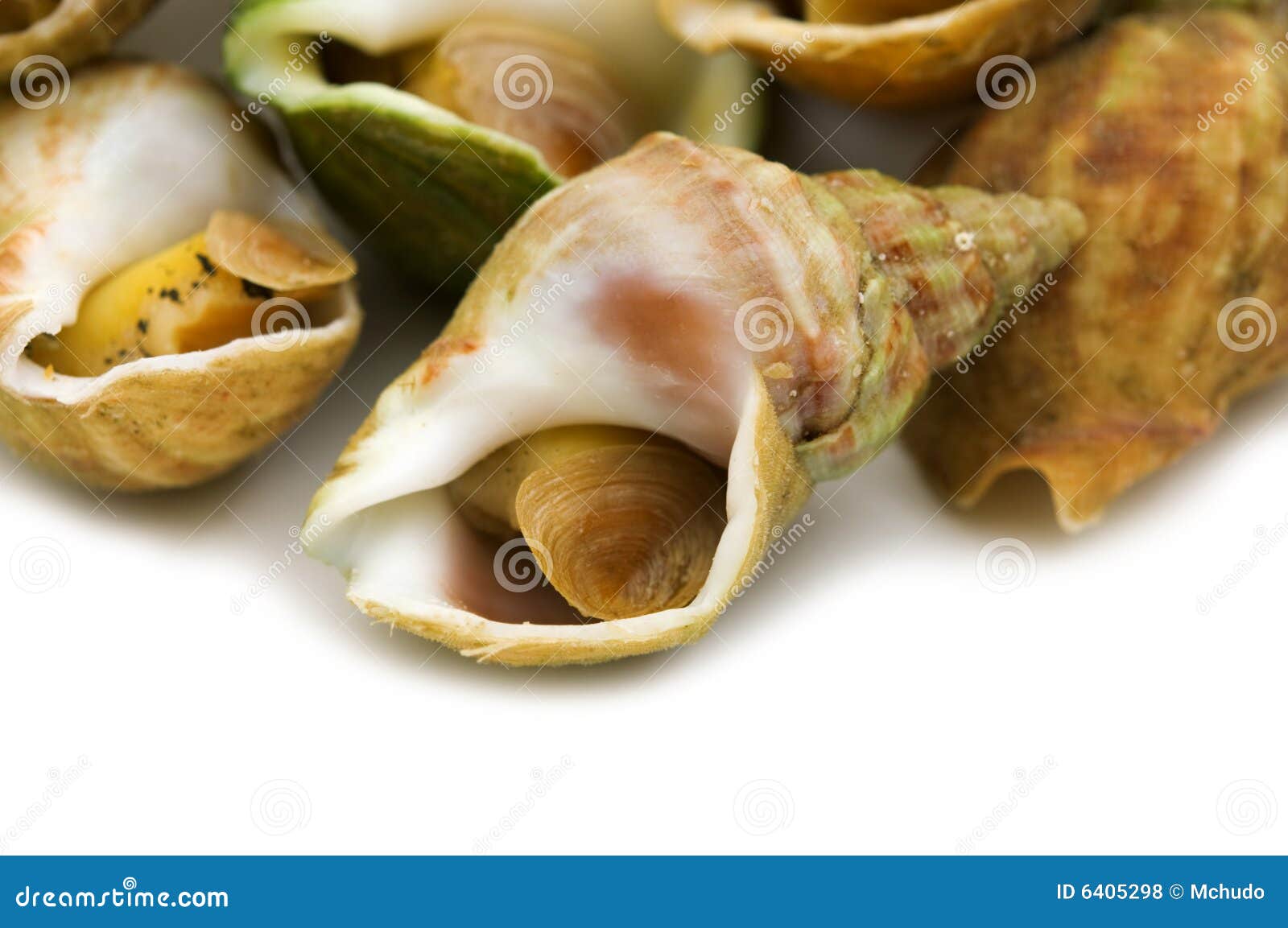 Molluscs Cooked With Garlic And Parsley Stock Photo | CartoonDealer.com ...