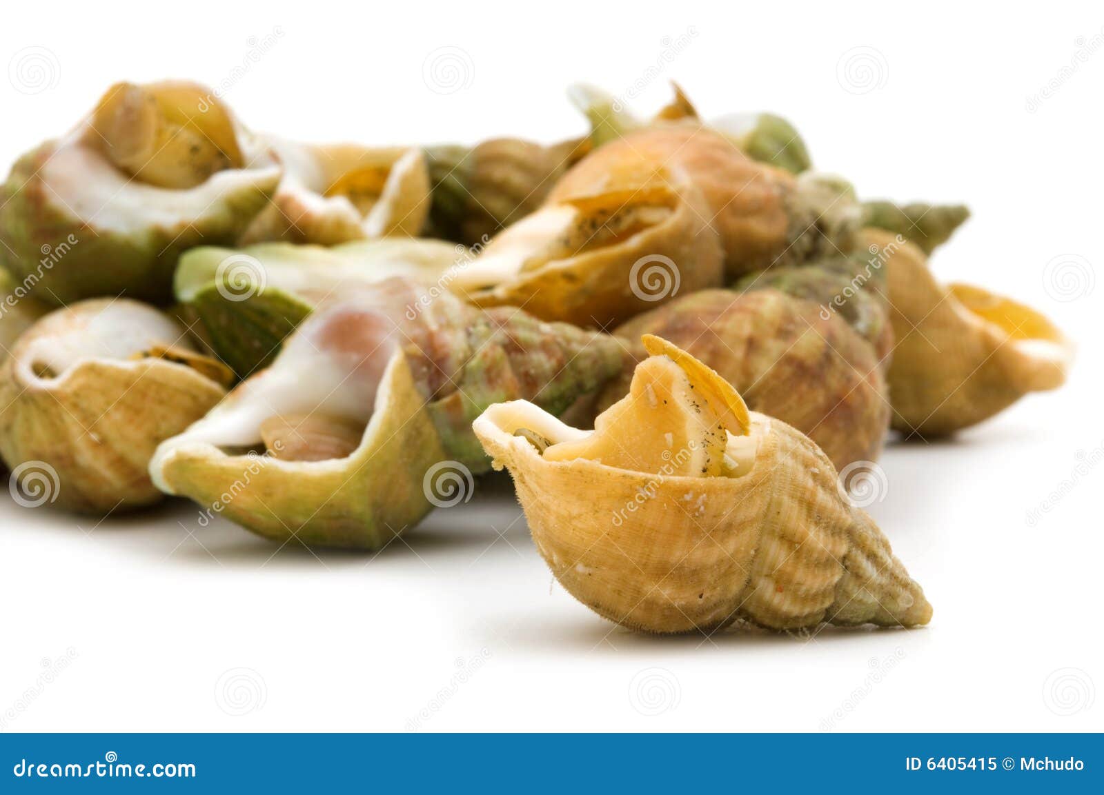 Cooked shell stock image. Image of crustaceans, healthy - 6405415
