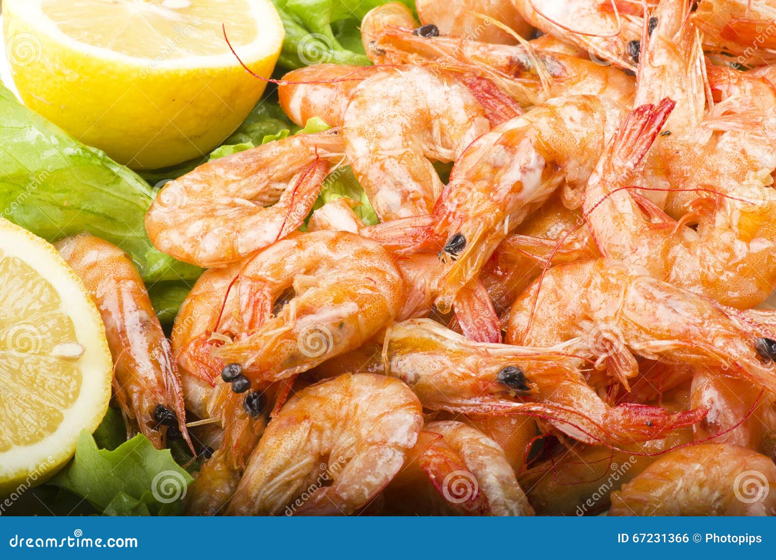 Cooked shrimp stock photo. Image of seafood, krill, prawn - 67231366