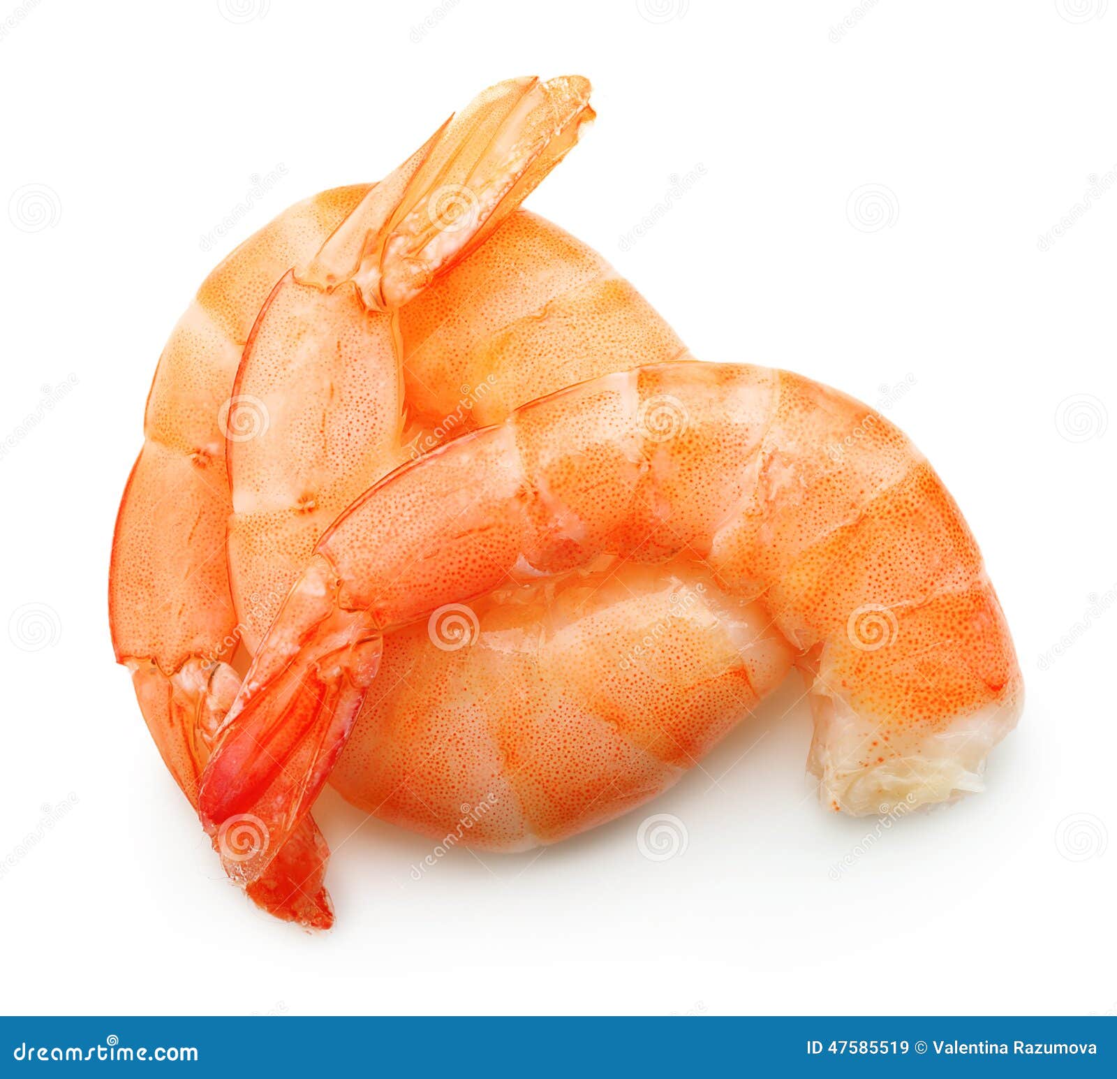 Cooked shrimp isolated stock image. Image of cooked, protein - 47585519