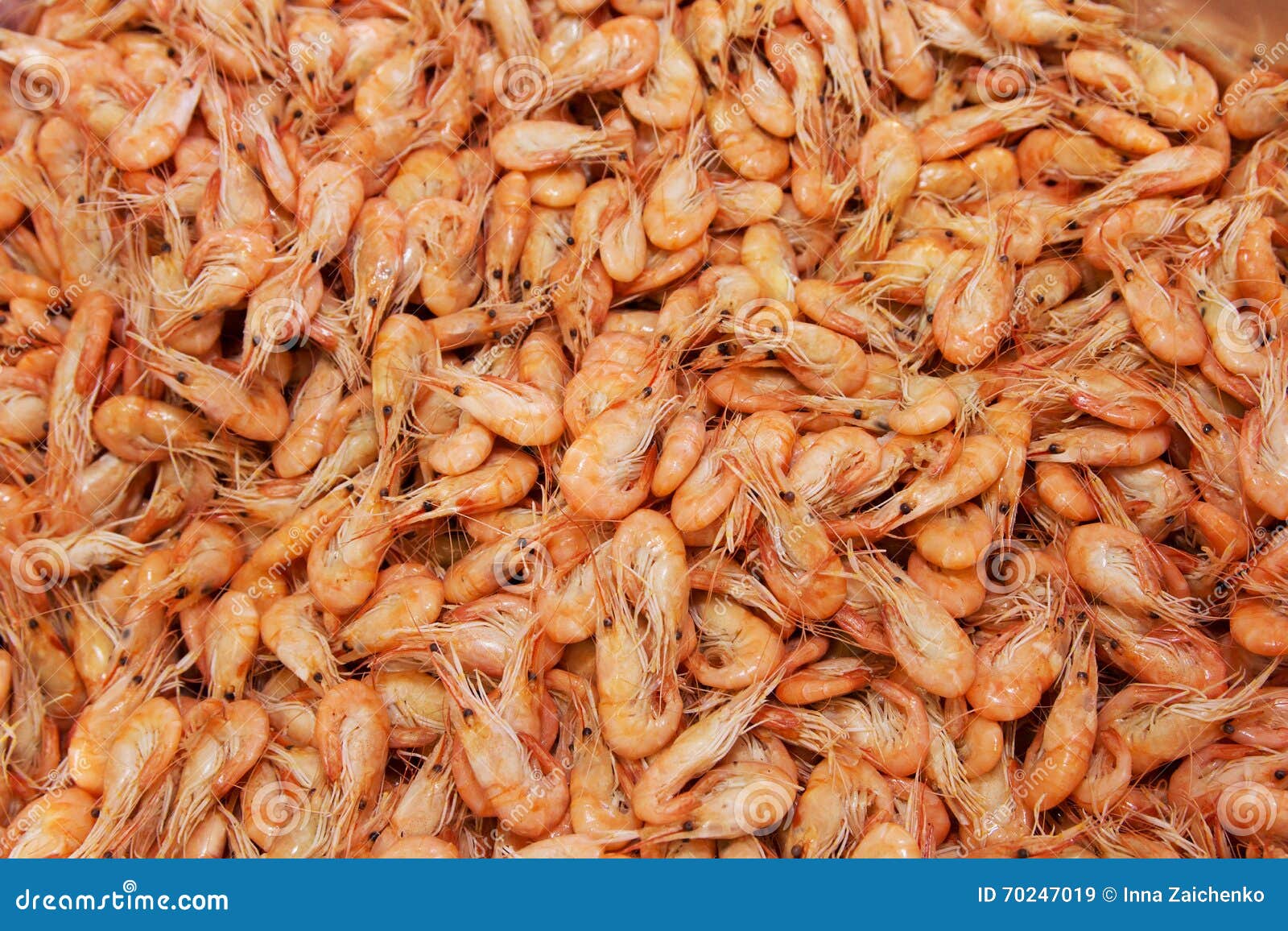 Cooked shrimp texture stock image. Image of delicious - 70247019