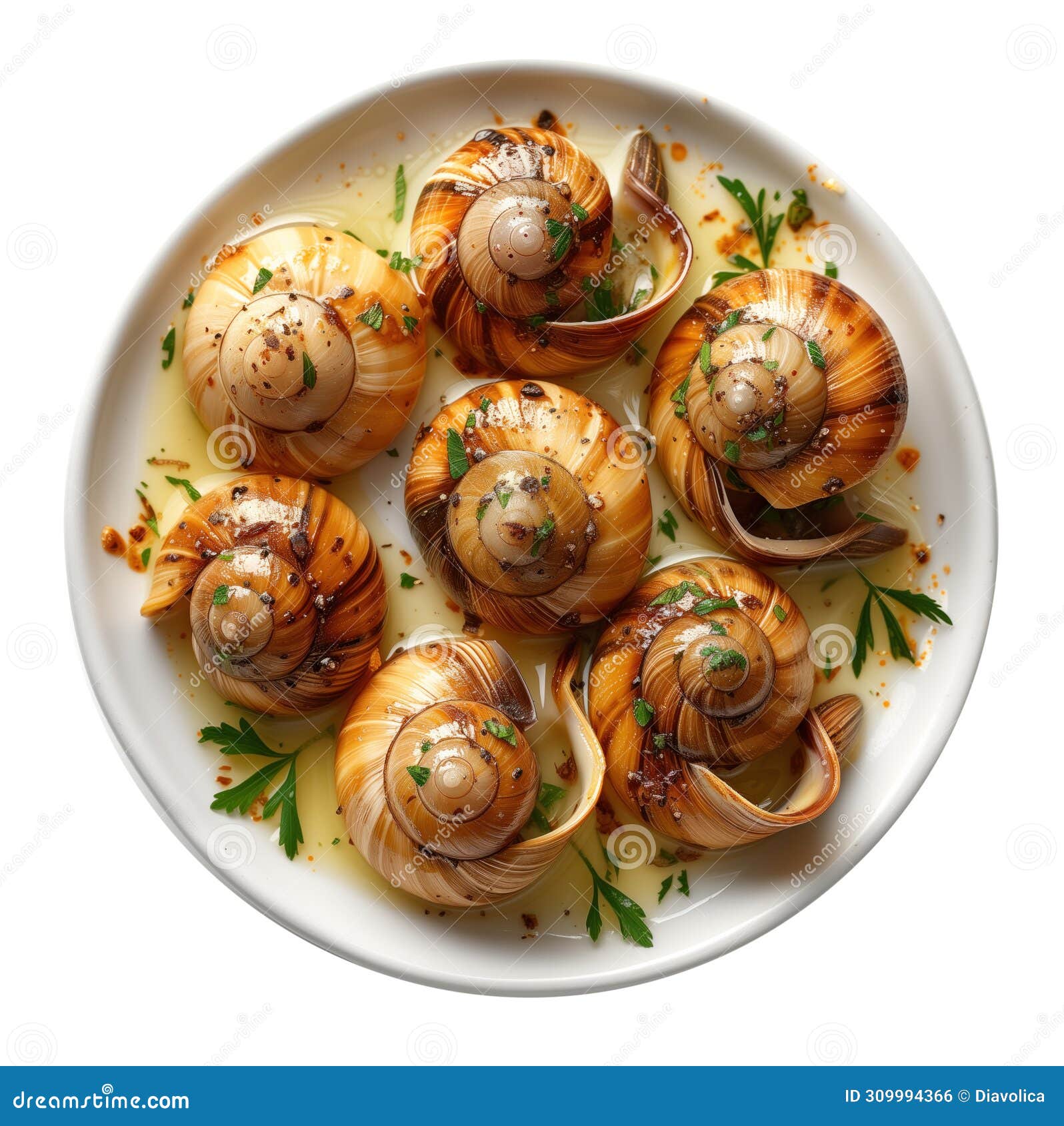 Cooked Snails in a Plate Isolated Stock Illustration - Illustration of ...