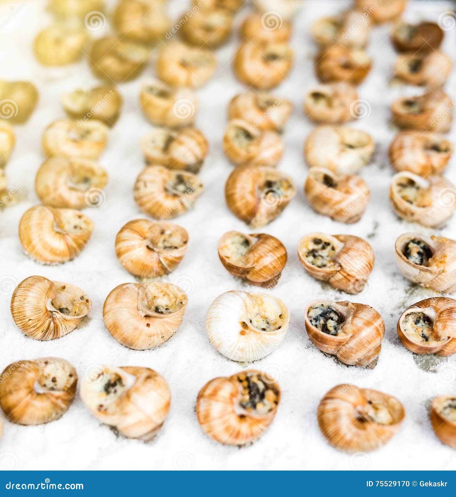 Cooked snails with sauce stock photo. Image of meal, cooking - 75529170