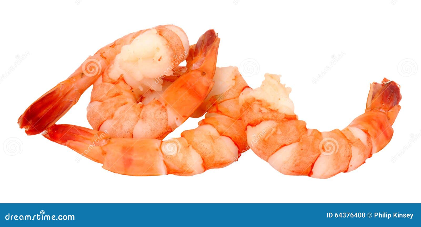 Cooked Tiger Prawns stock photo. Image of meat, shelled - 64376400