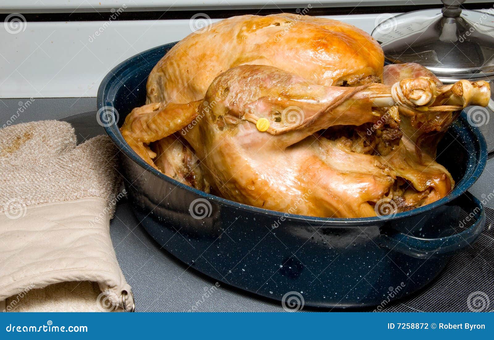 Cooked Turkey stock photo. Image of banquet, feast, legs - 7258872