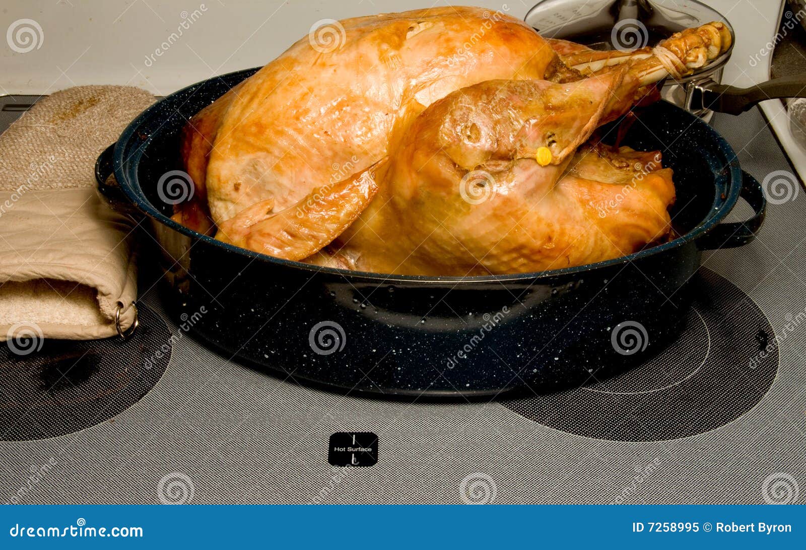 Cooked Turkey stock image. Image of roasted, delicious - 7258995