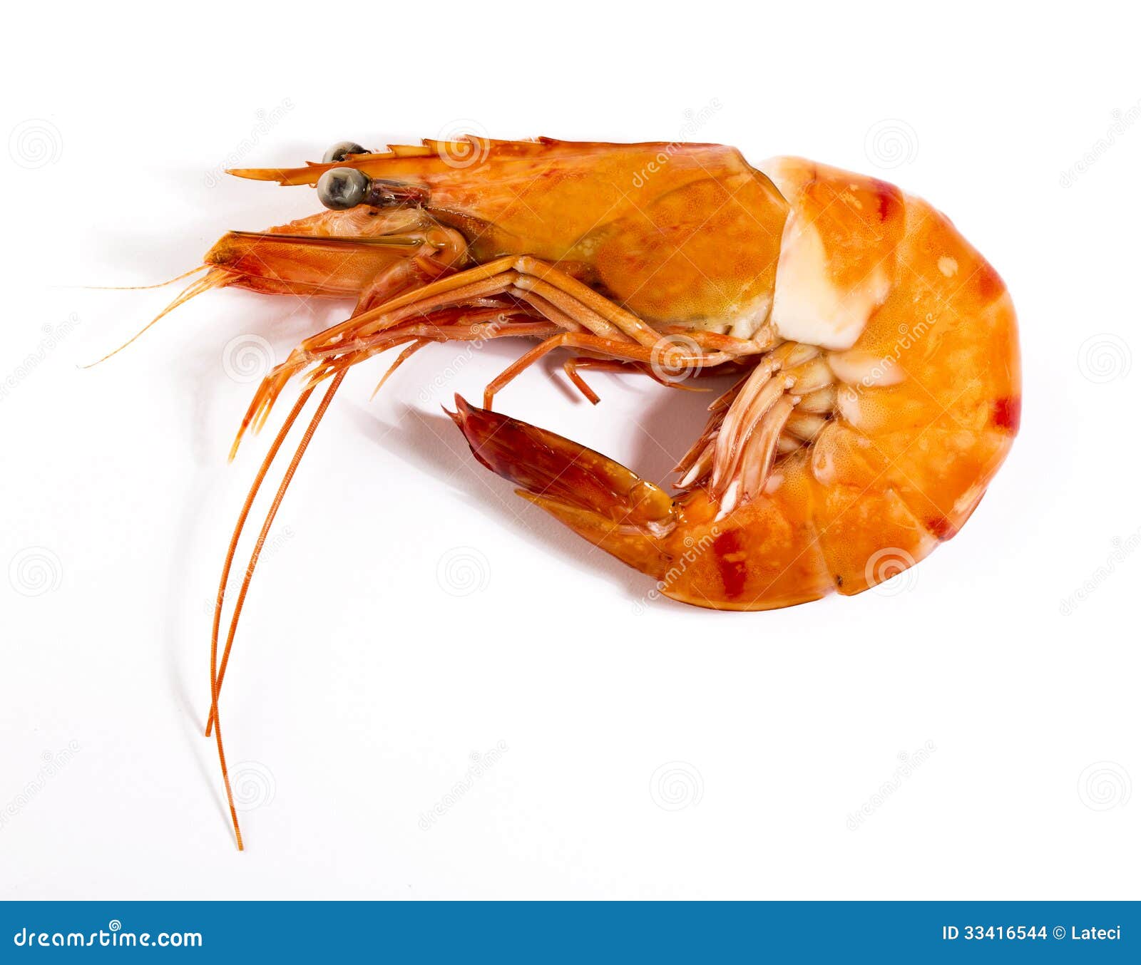 Cooked Unshelled Tiger Shrimp Stock Photo - Image of protein ...