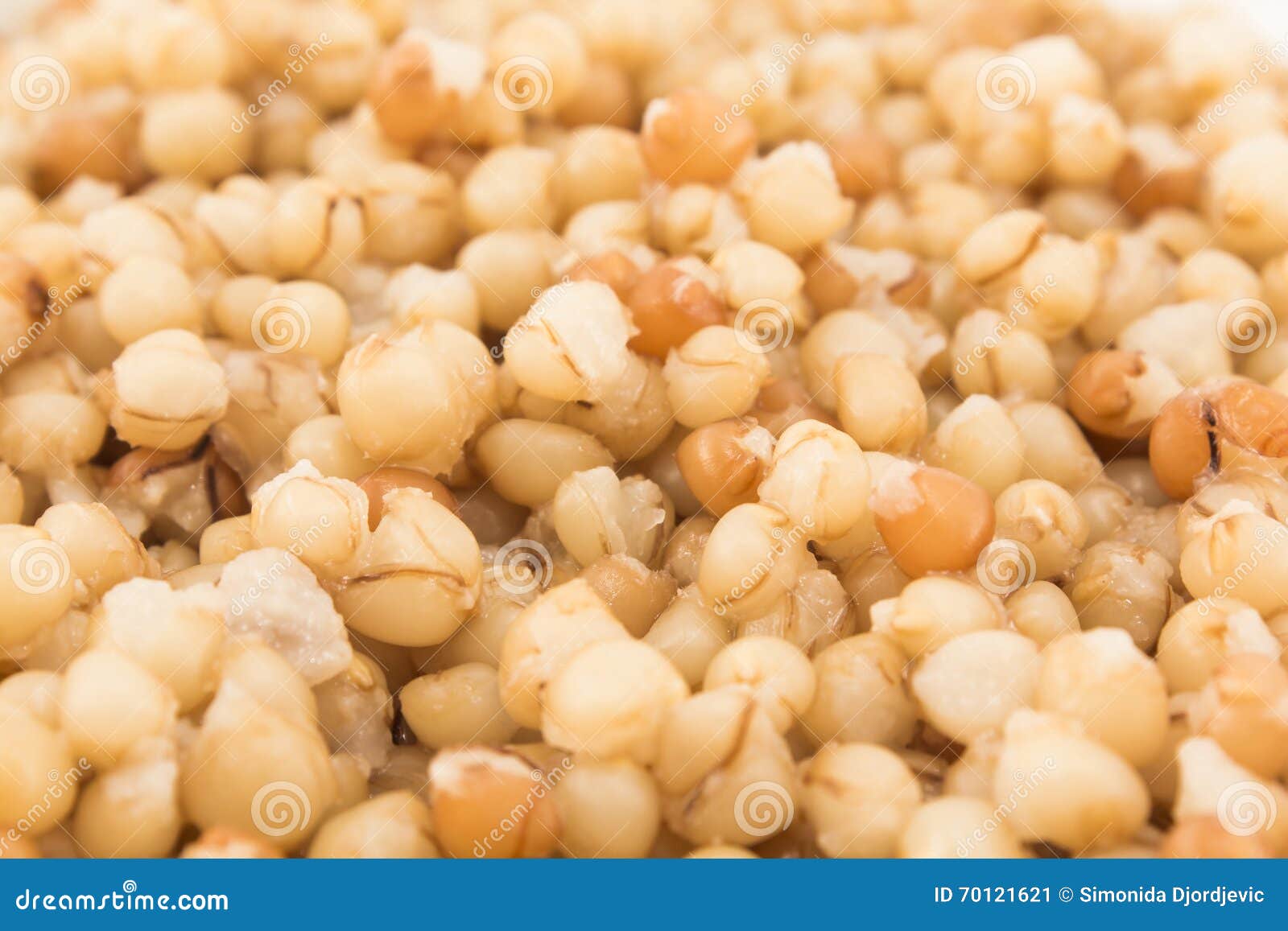 Cooked Wheat in Grain Close Up Stock Image - Image of breakfast ...