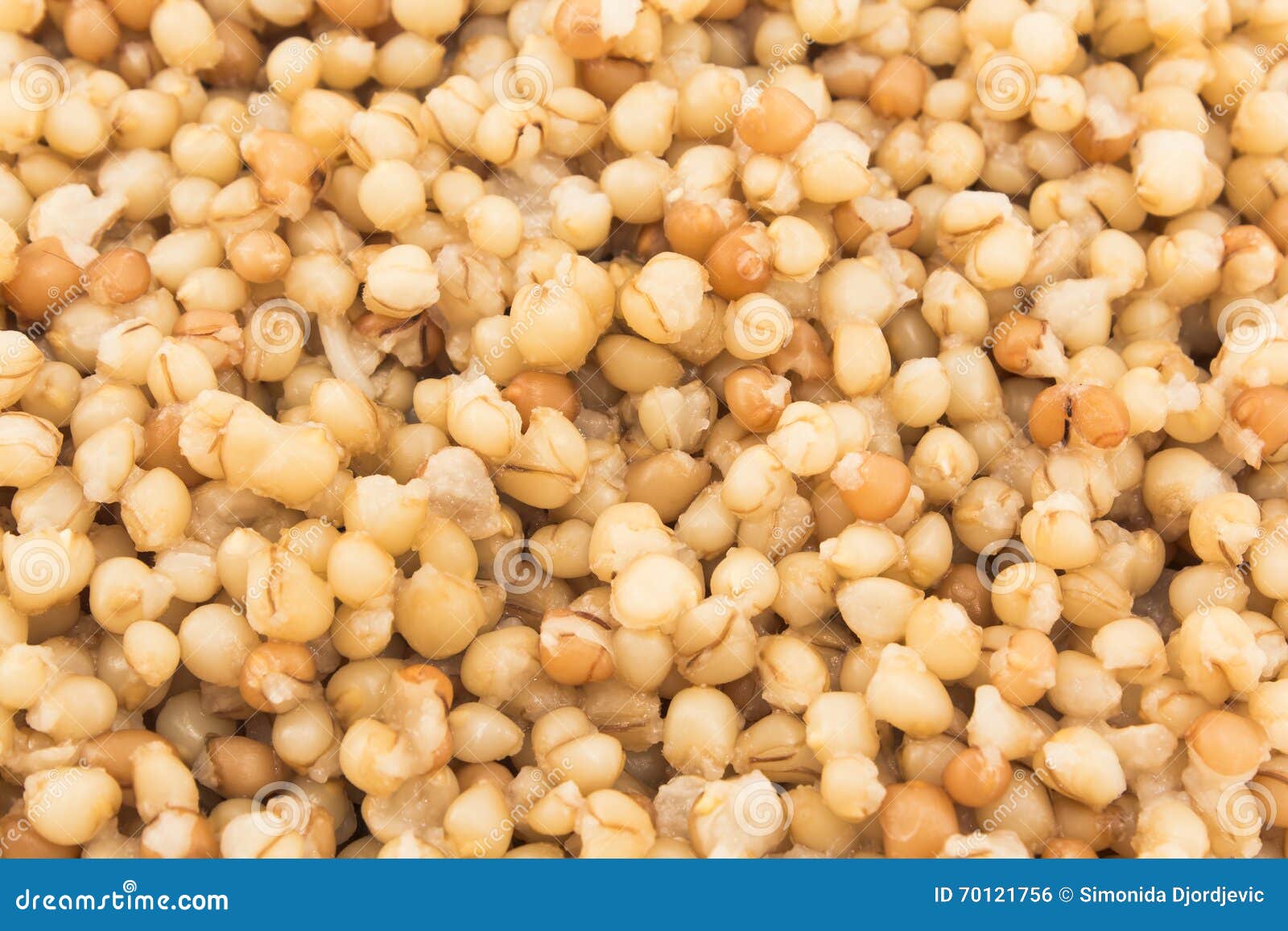 Cooked Wheat in Grain Close Up Stock Photo - Image of vegetarian, food ...