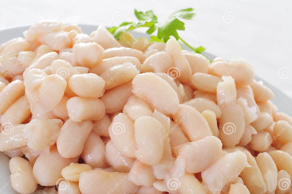 Cooked white beans stock image. Image of beans, plate - 35898247