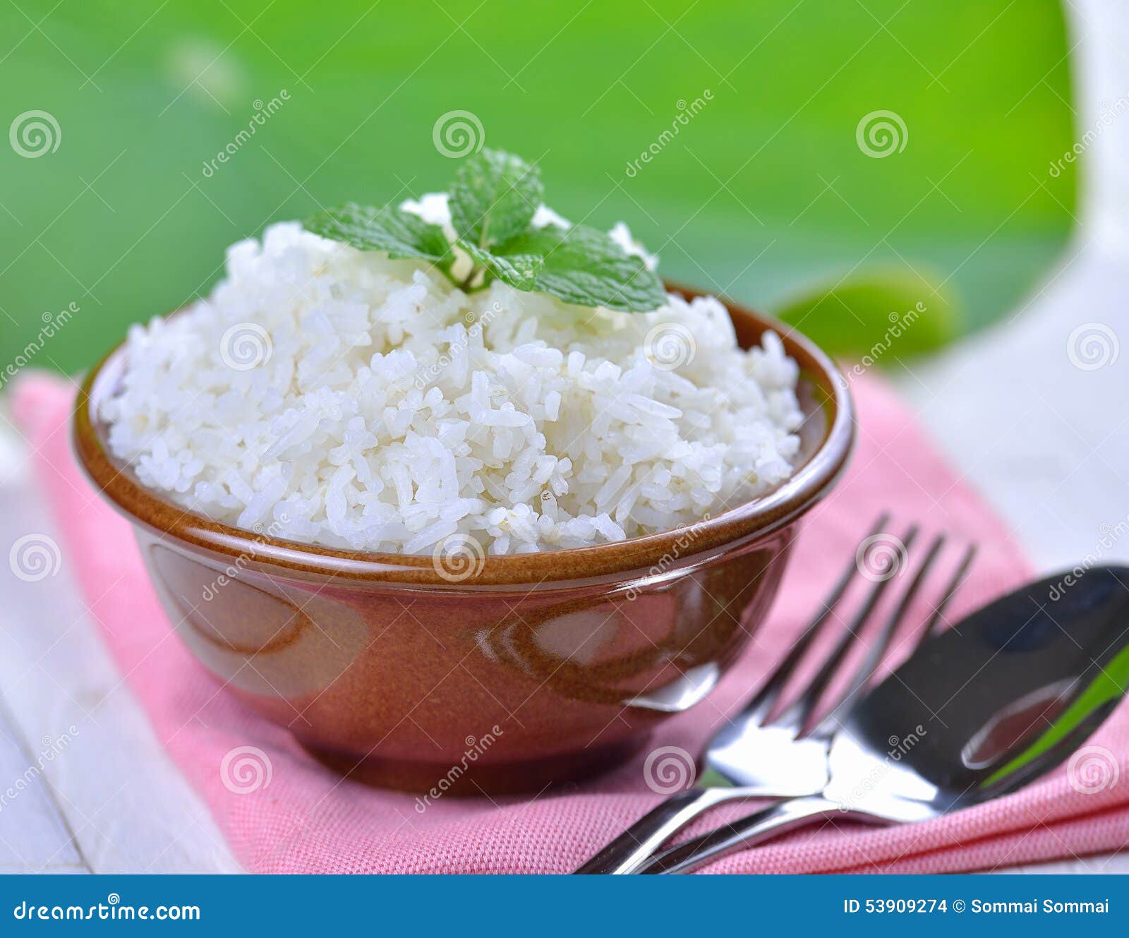 Cooked White Rice Garnished with Mint Stock Photo - Image of dark, food ...