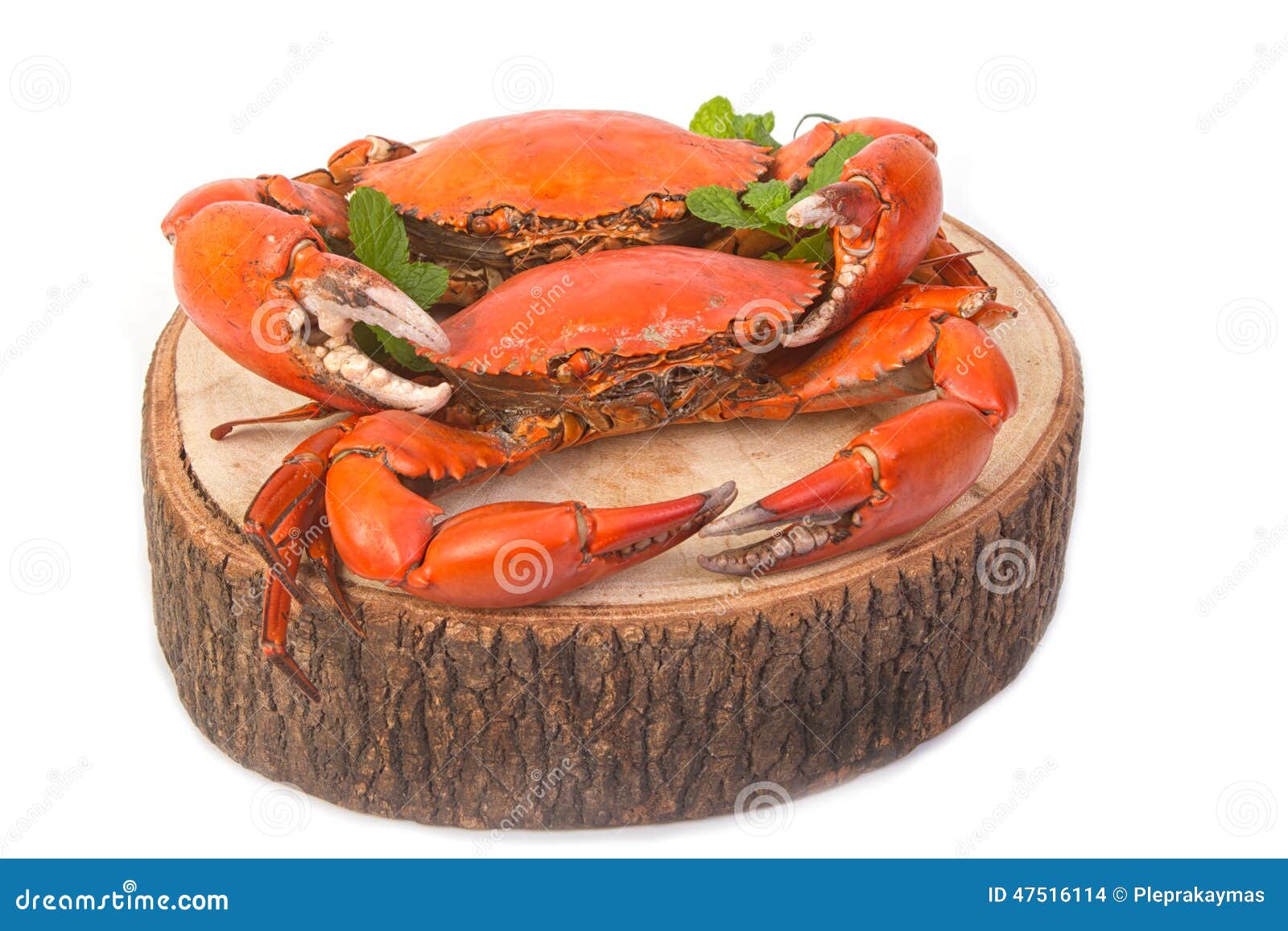Cooked whole crabs stock photo. Image of orange, boiled - 47516114