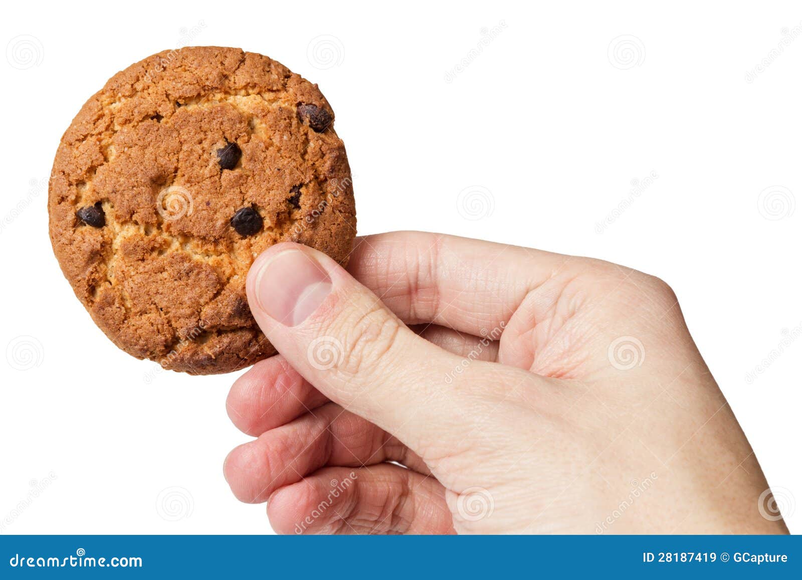 Cookie with Chocolate Pieces in Hand Stock Image - Image of snack ...