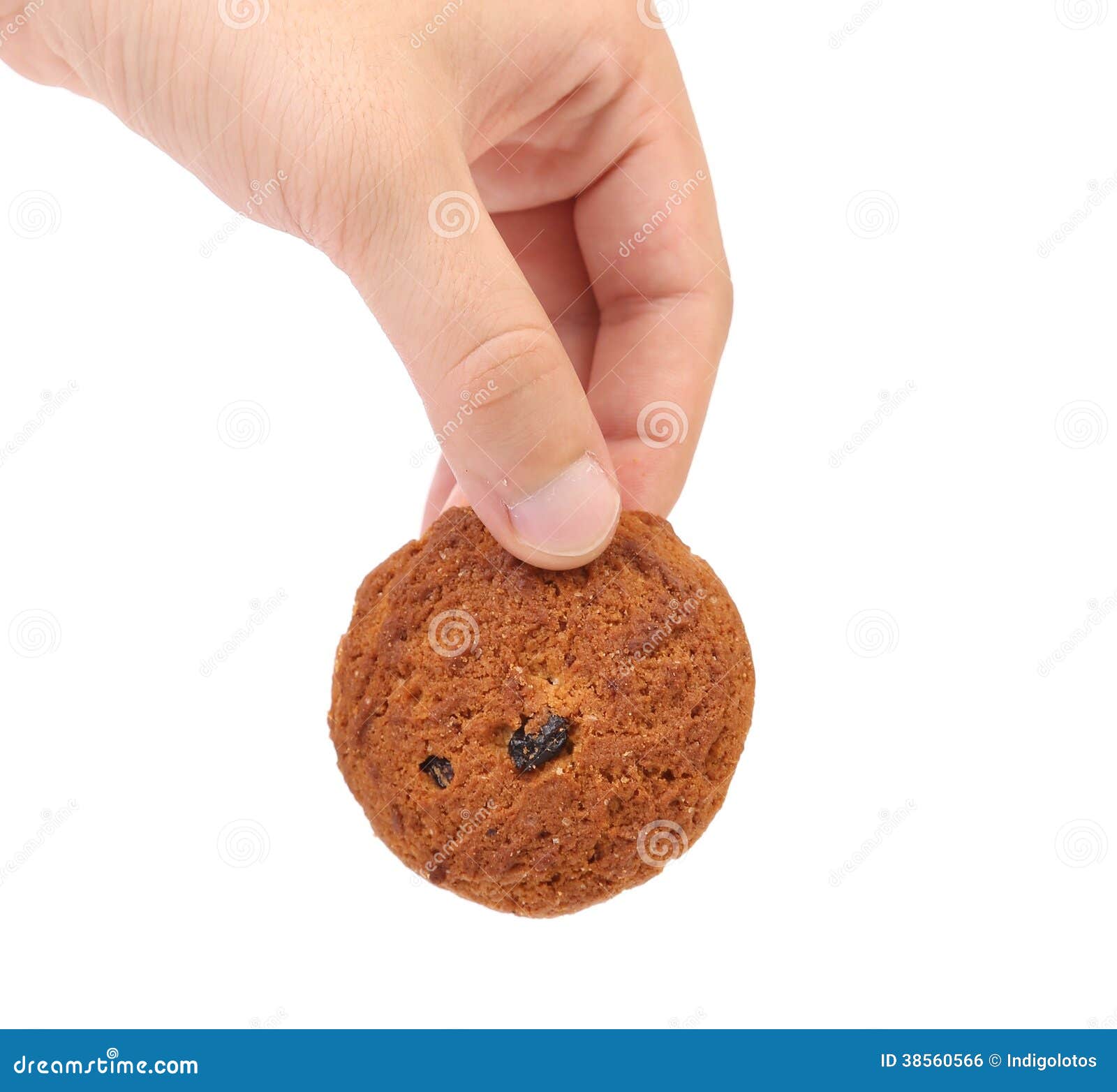 Cookie with Chocolate Pieces in Hand Stock Photo - Image of pieces ...
