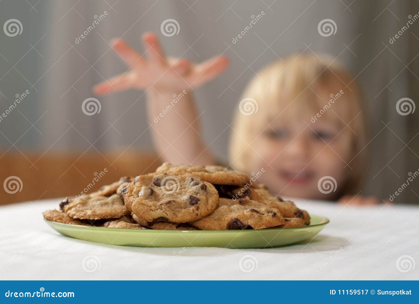 Cookie temptation stock image. Image of sweets, chip - 11159517