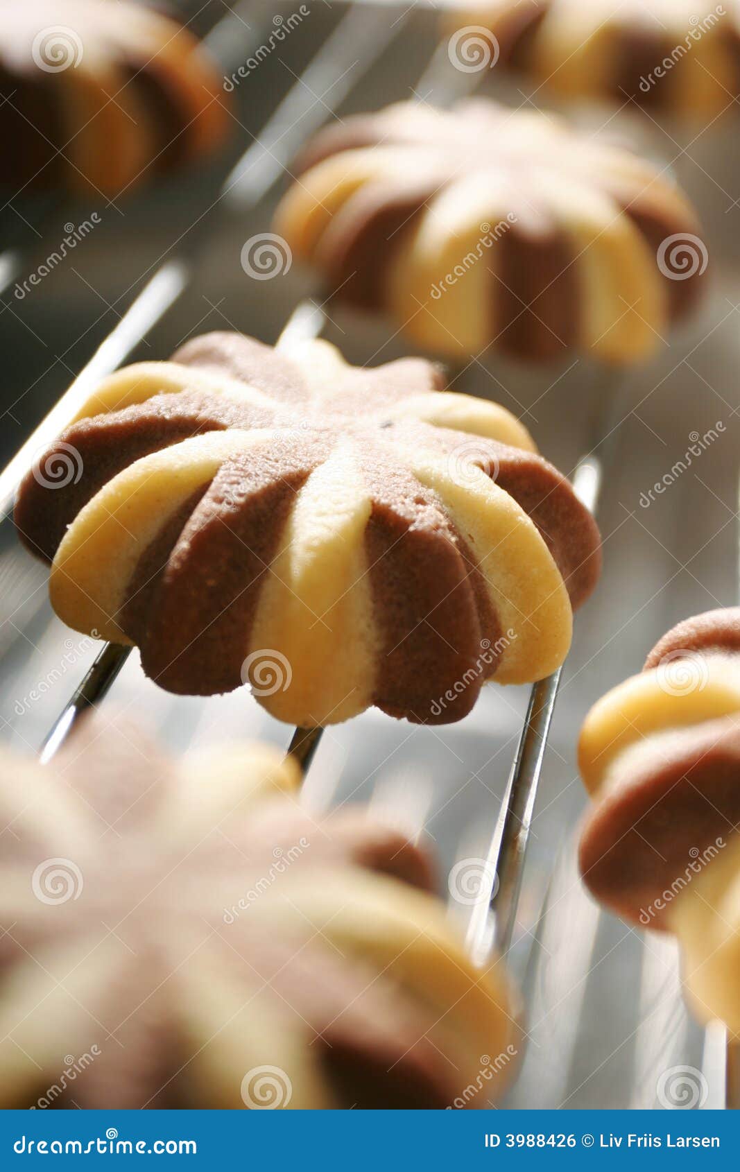 Cookies stock photo. Image of chocolate, snack, shaped - 3988426