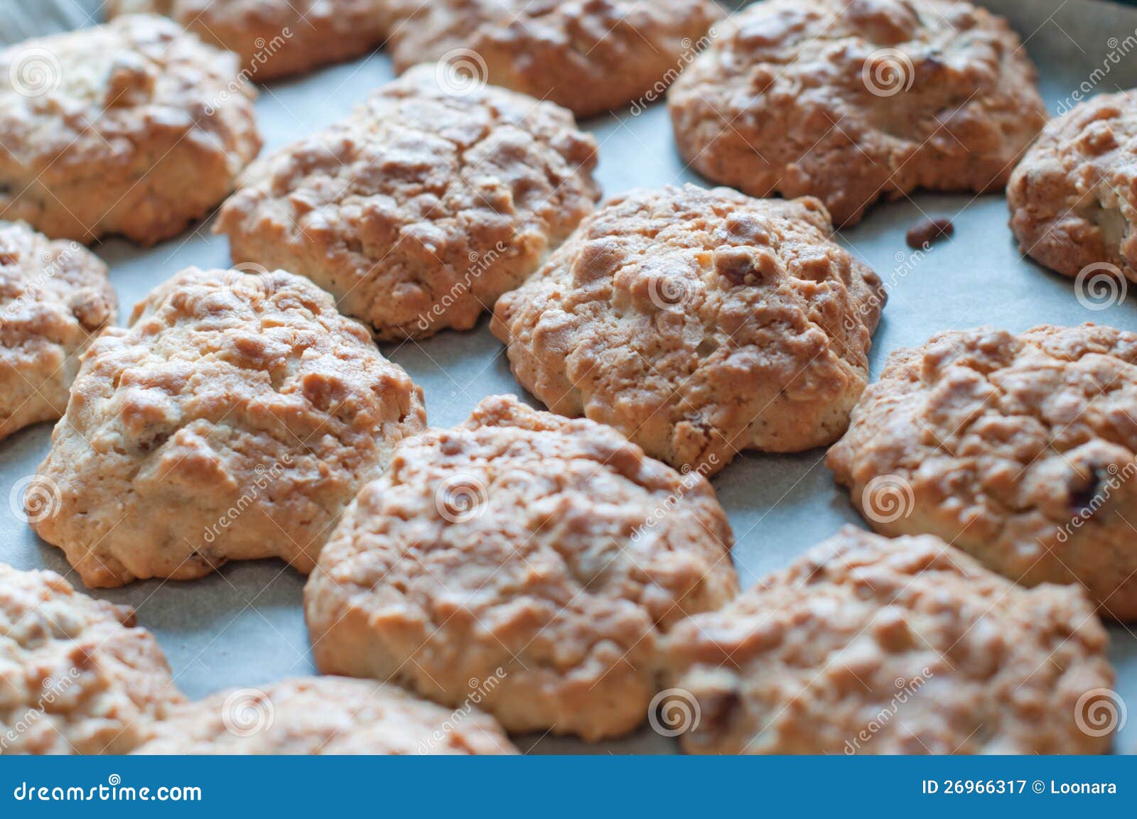 Cookies on a baking tray stock image. Image of foreground - 26966317