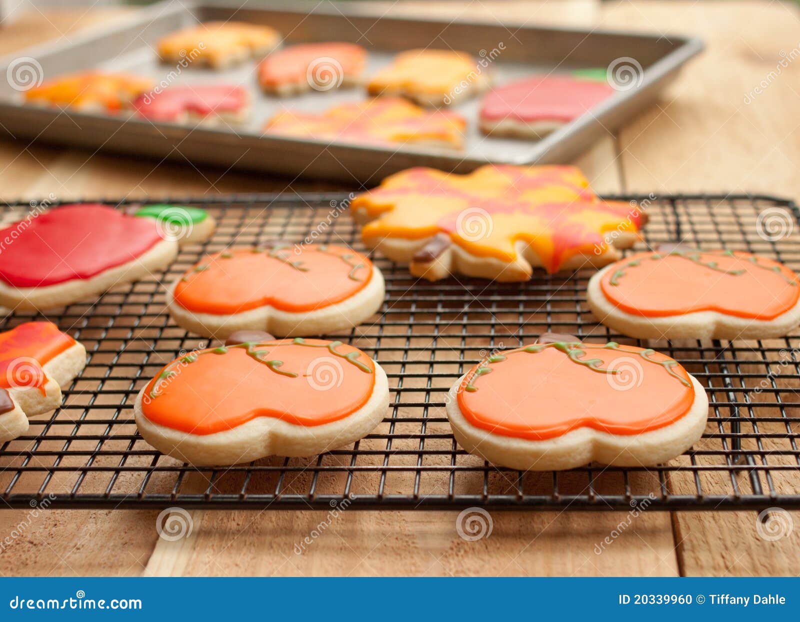 Cookies on cooling rack stock photo. Image of cooling - 20339960