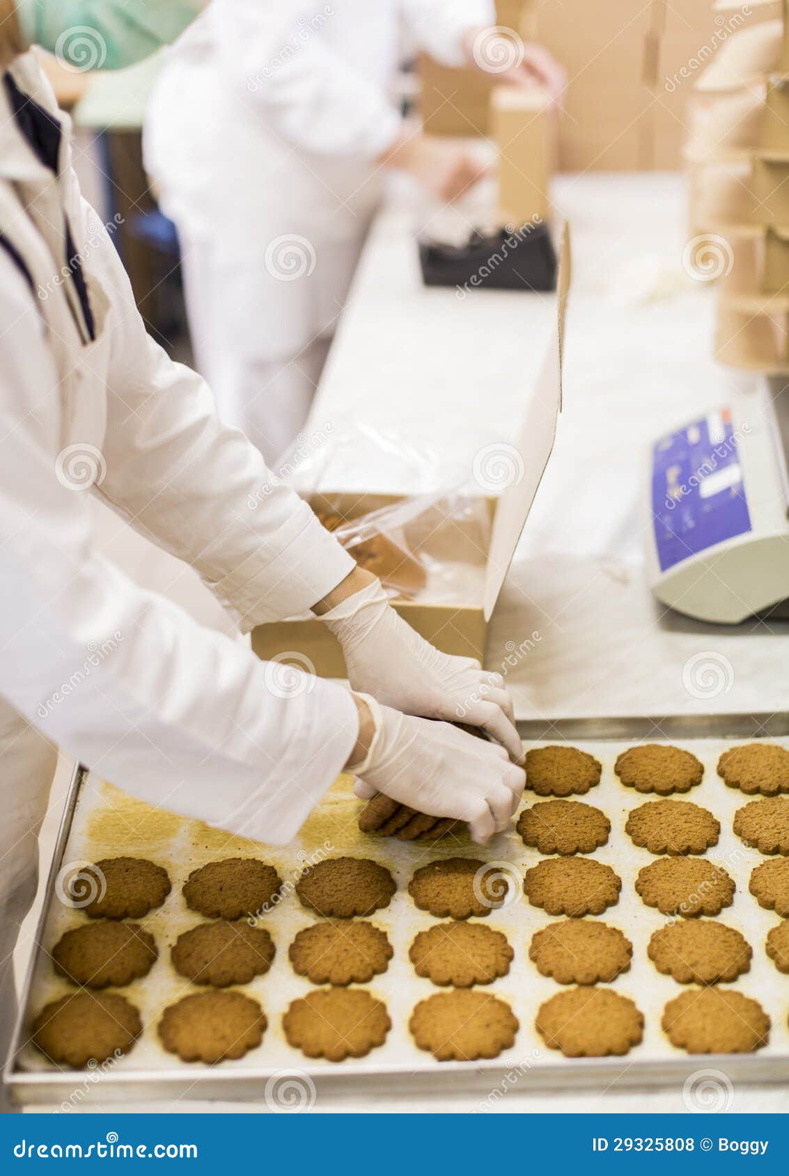Cookies factory stock photo. Image of hygiene, person - 29325808