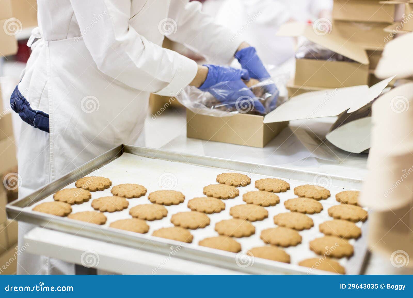 Cookies factory stock image. Image of manufacture, industry - 29643035