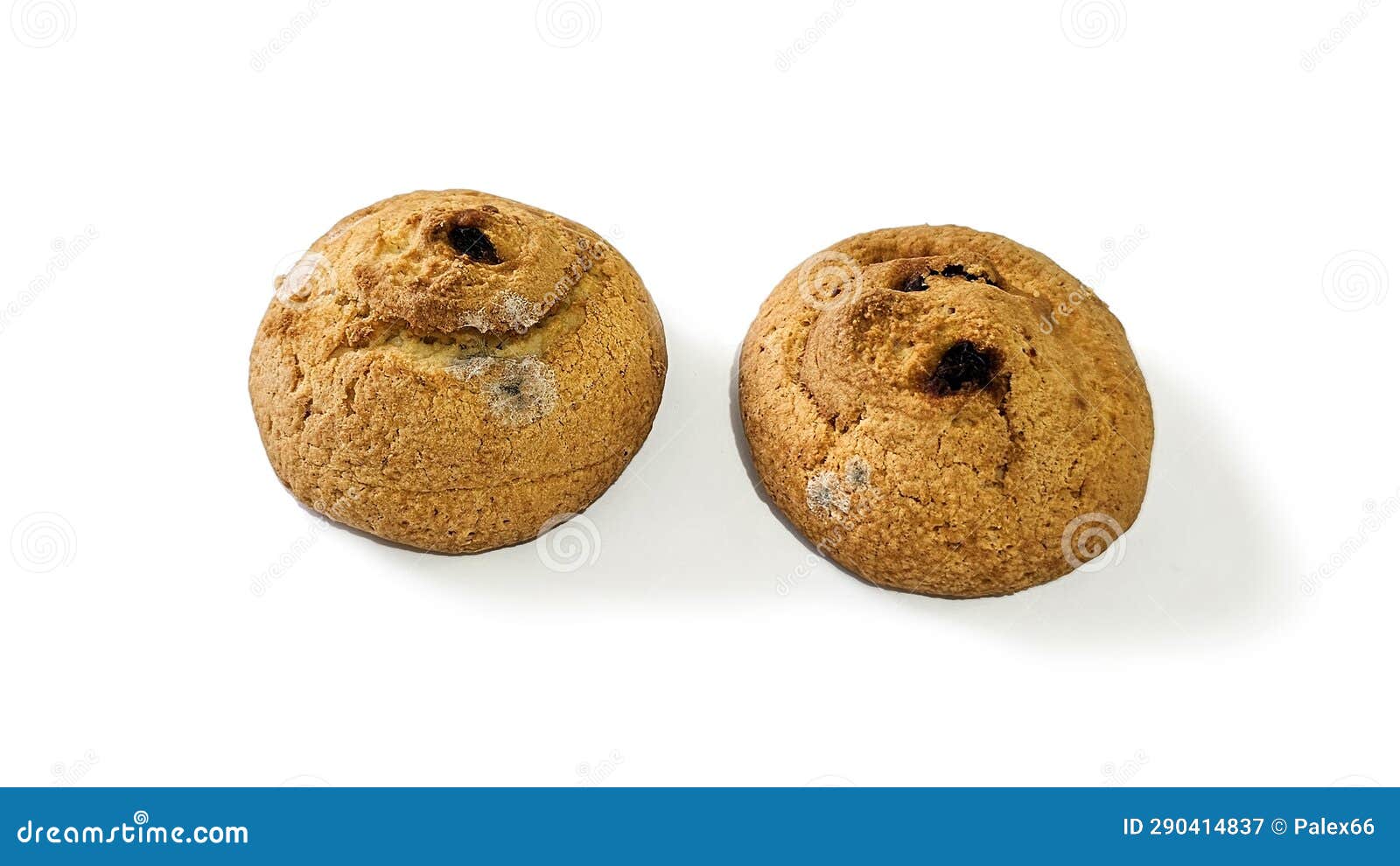 Cookies with mold stock image. Image of icing, shortbread - 290414837