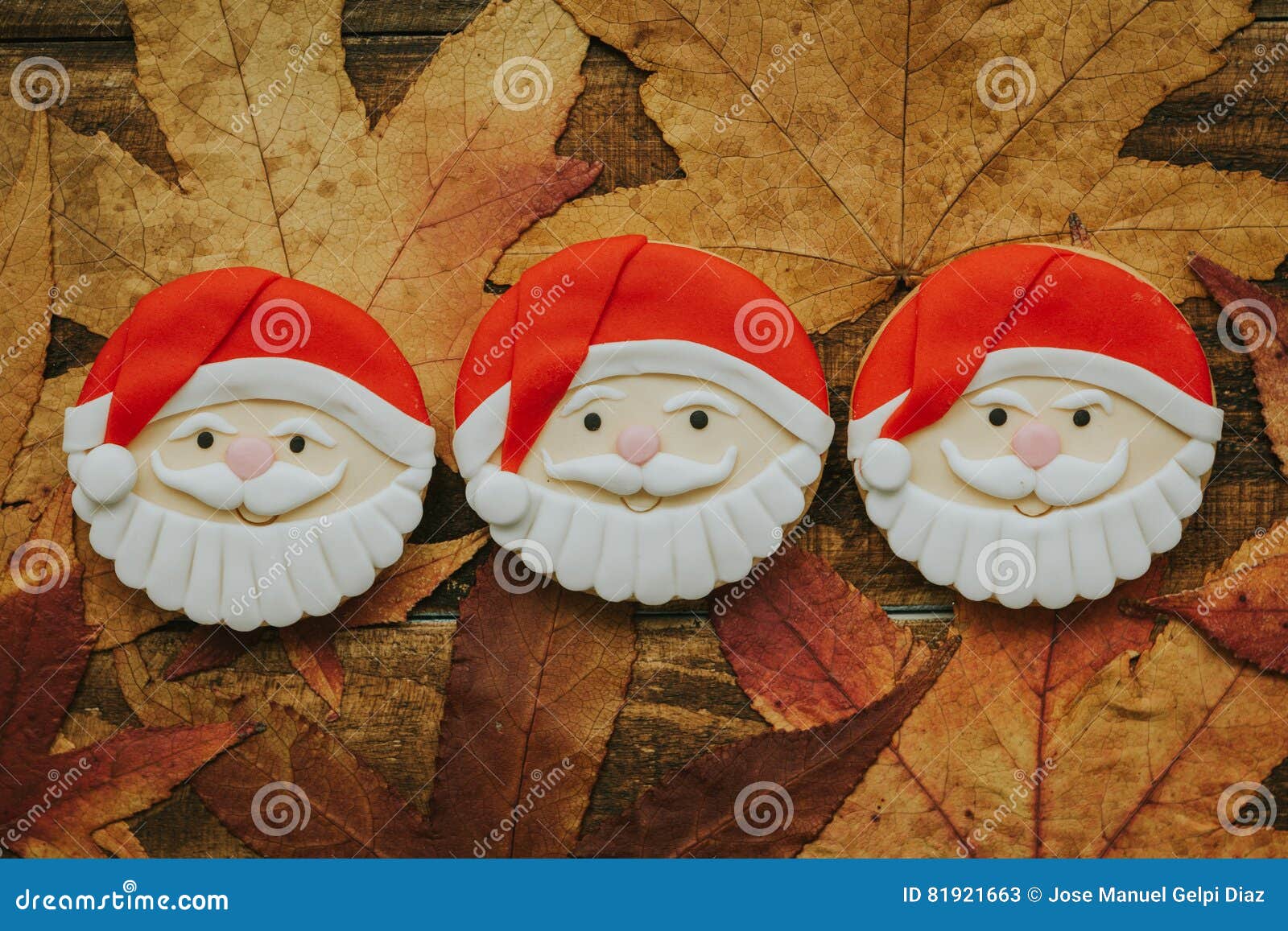 Cookies with Santa Claus Shape on Fall Leaves Stock Image - Image of ...