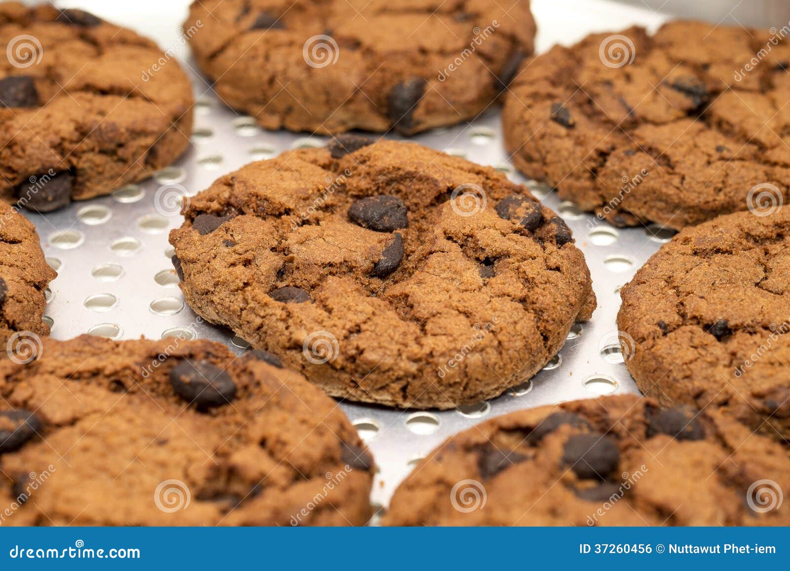 Cookies on a tray stock photo. Image of cook, sheet, food - 37260456