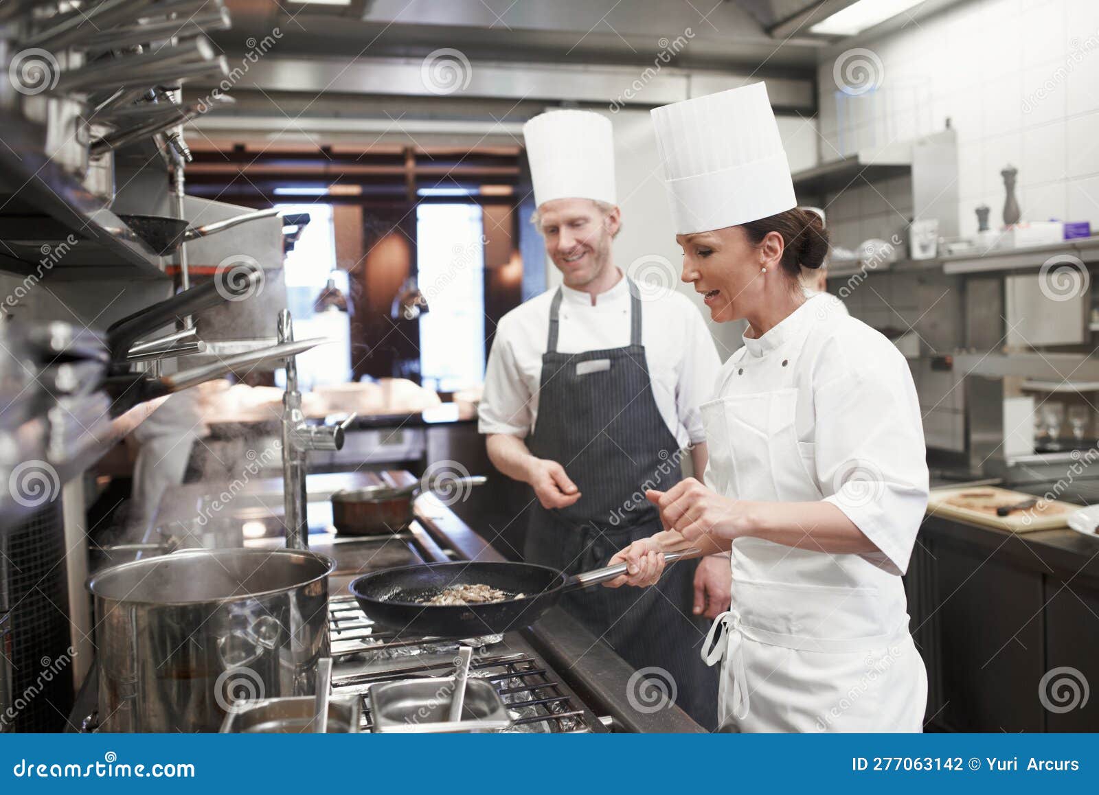 Cooking is an Art. the Inner Working of a Professional Kitchen. Stock ...
