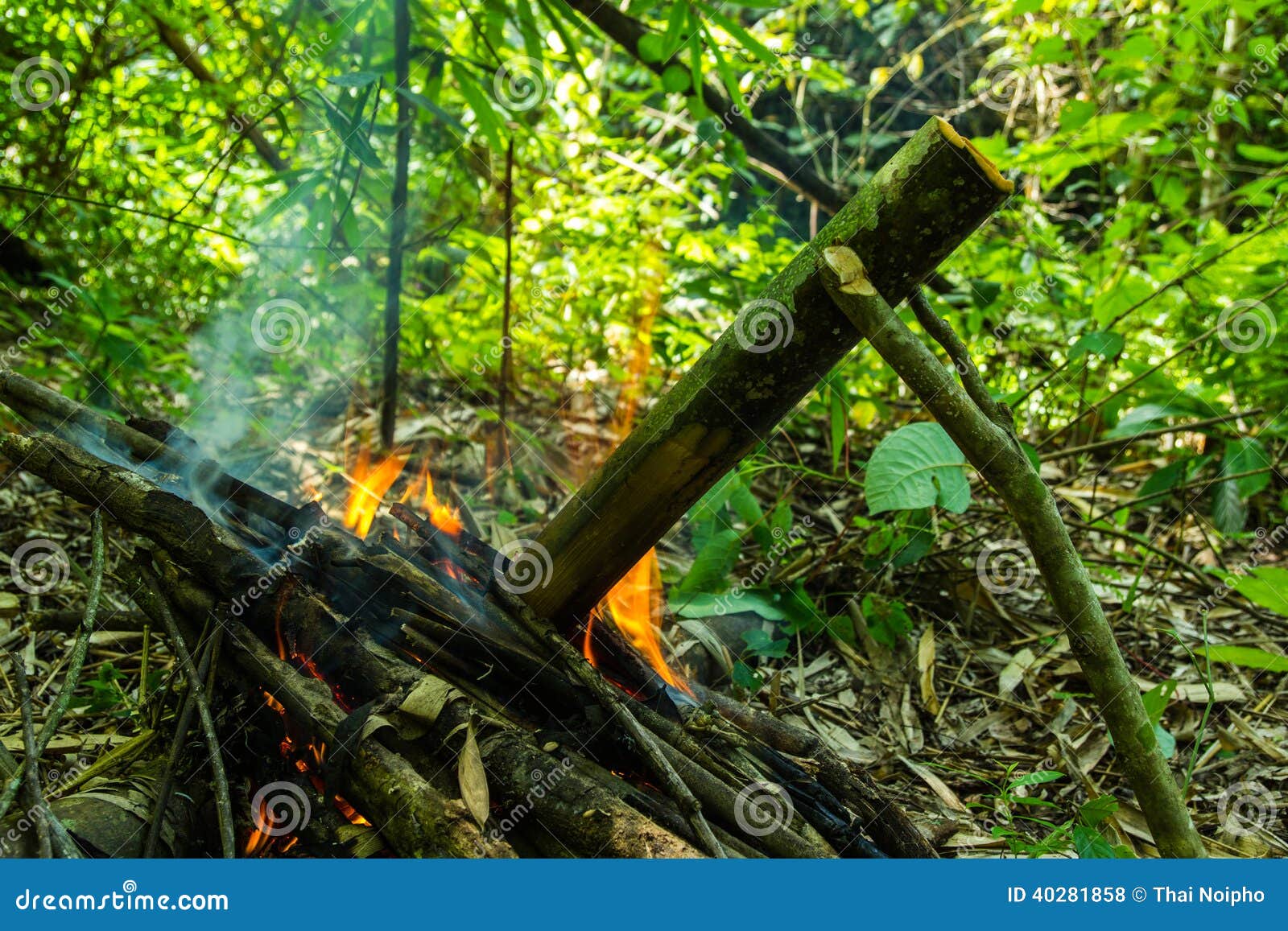 Cooking in bamboo tube. stock photo. Image of rice, nature - 40281858