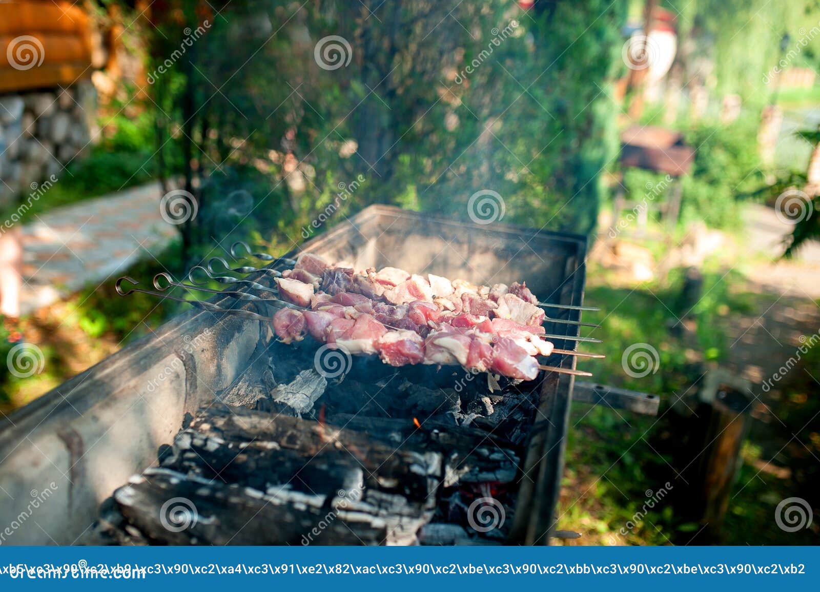 Cooking Barbecue in Nature. Camping and Picnic. Stock Photo - Image of ...