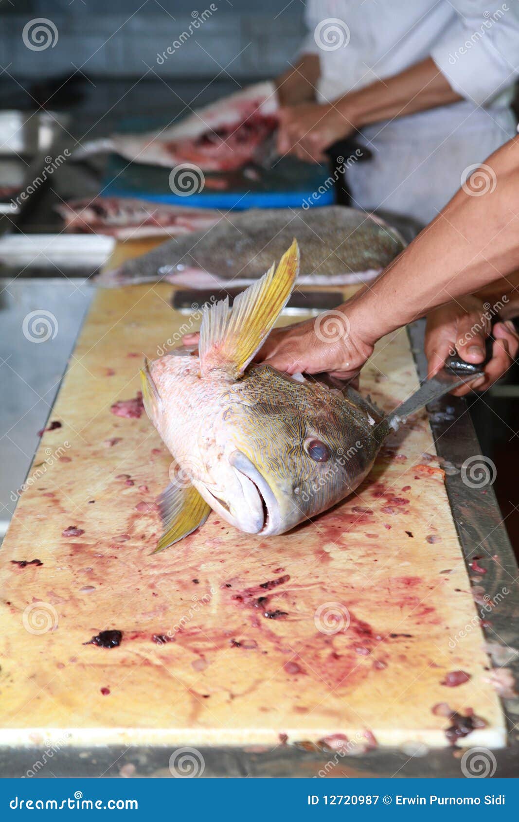 Cooking big fish stock image. Image of slice, butchering - 12720987