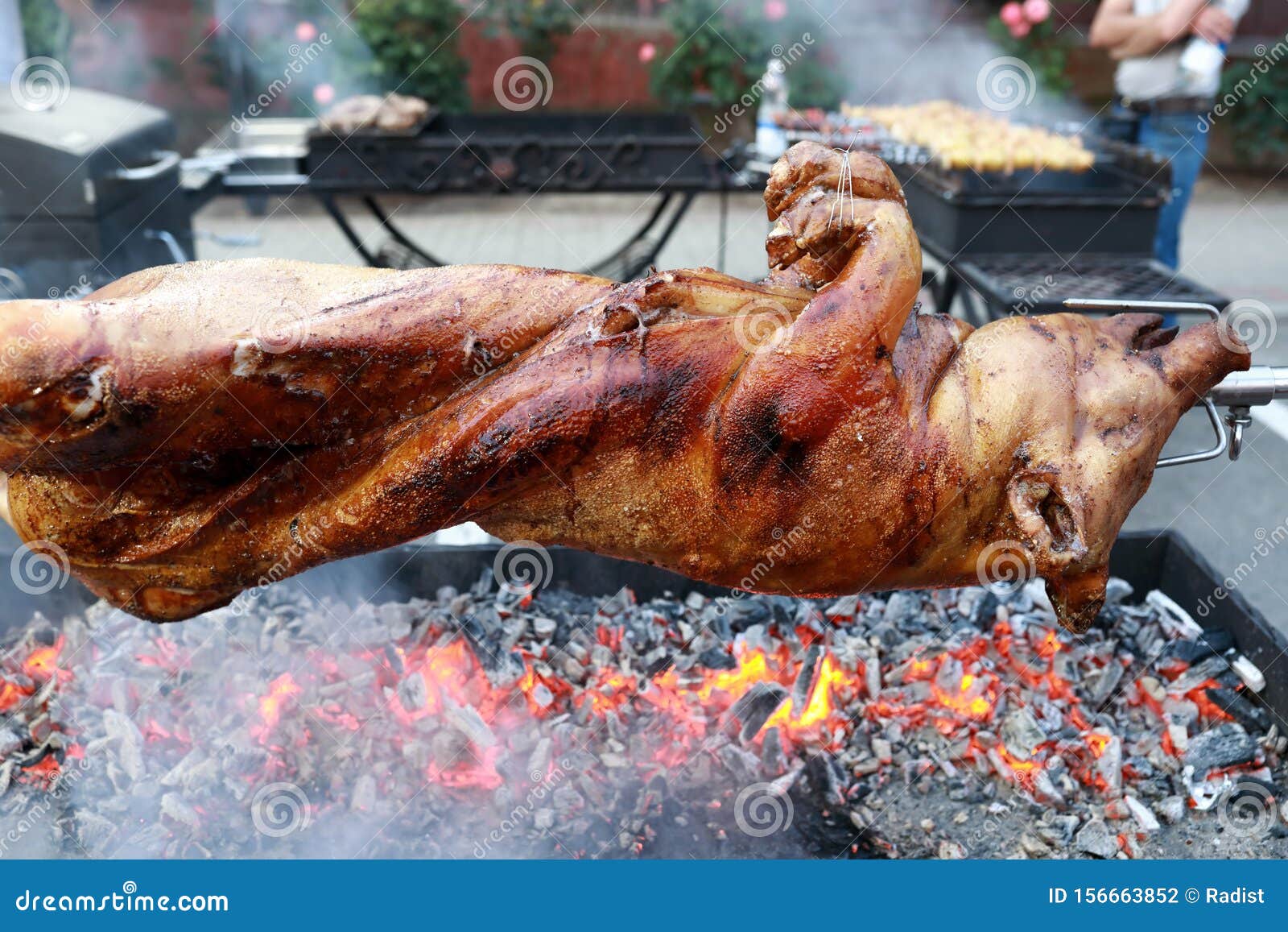 Cooking boar on spit stock photo. Image of charcoal - 156663852