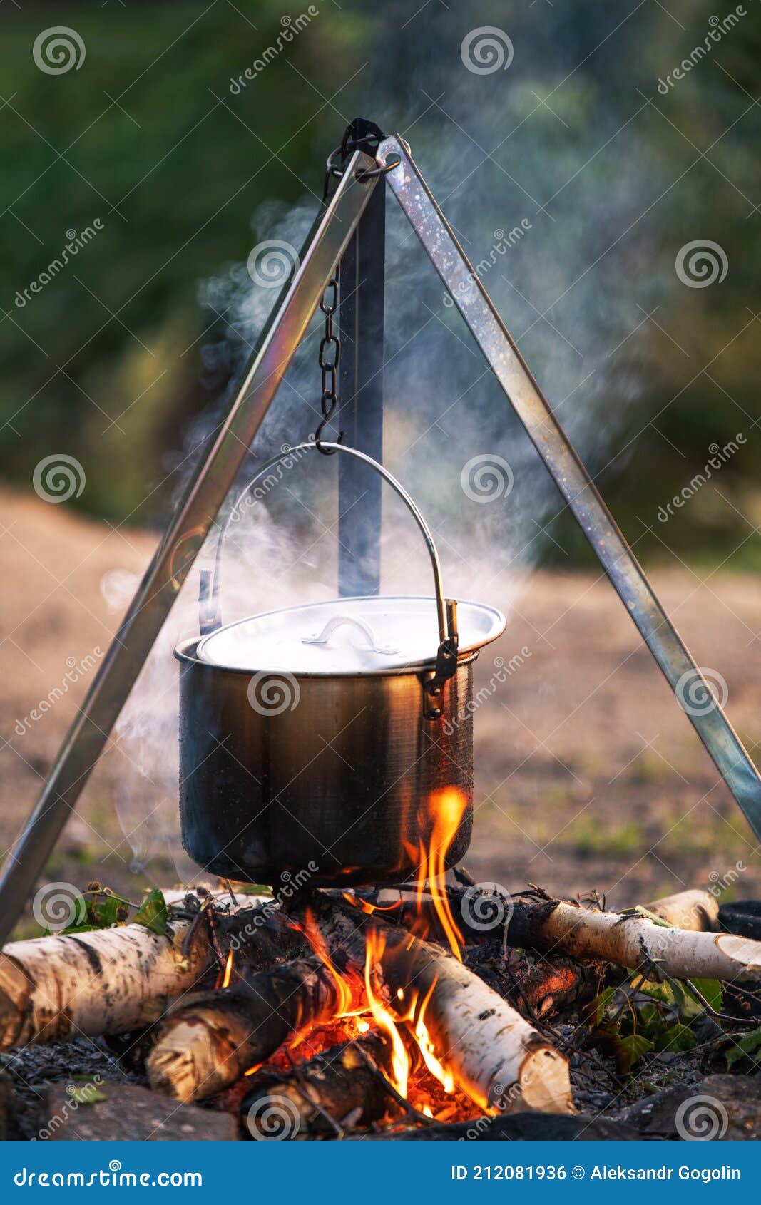 Cooking on a Campfire in a Cauldron Stock Photo - Image of adventure ...