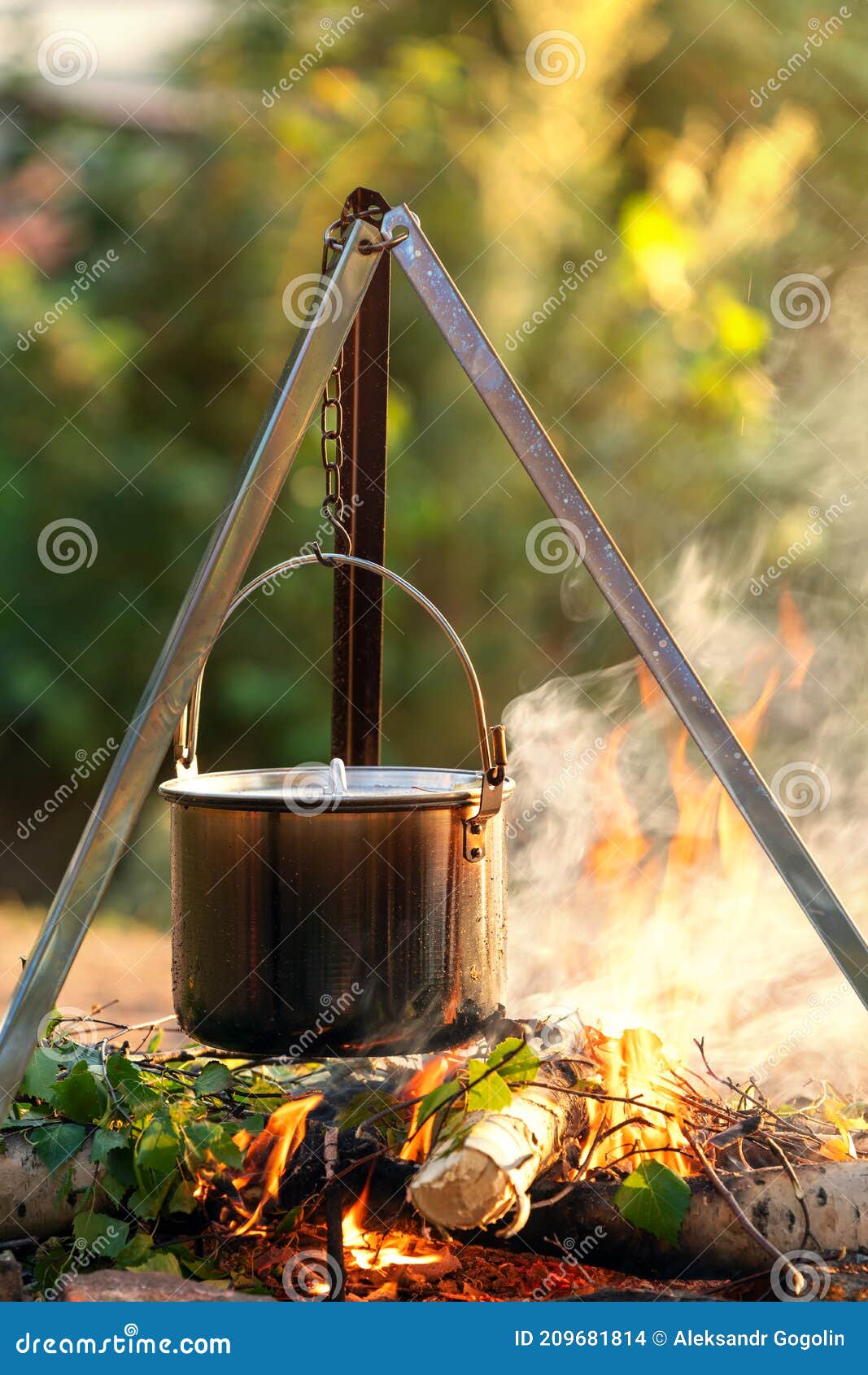 Cooking on a Campfire in a Cauldron Stock Photo - Image of camp, fire ...