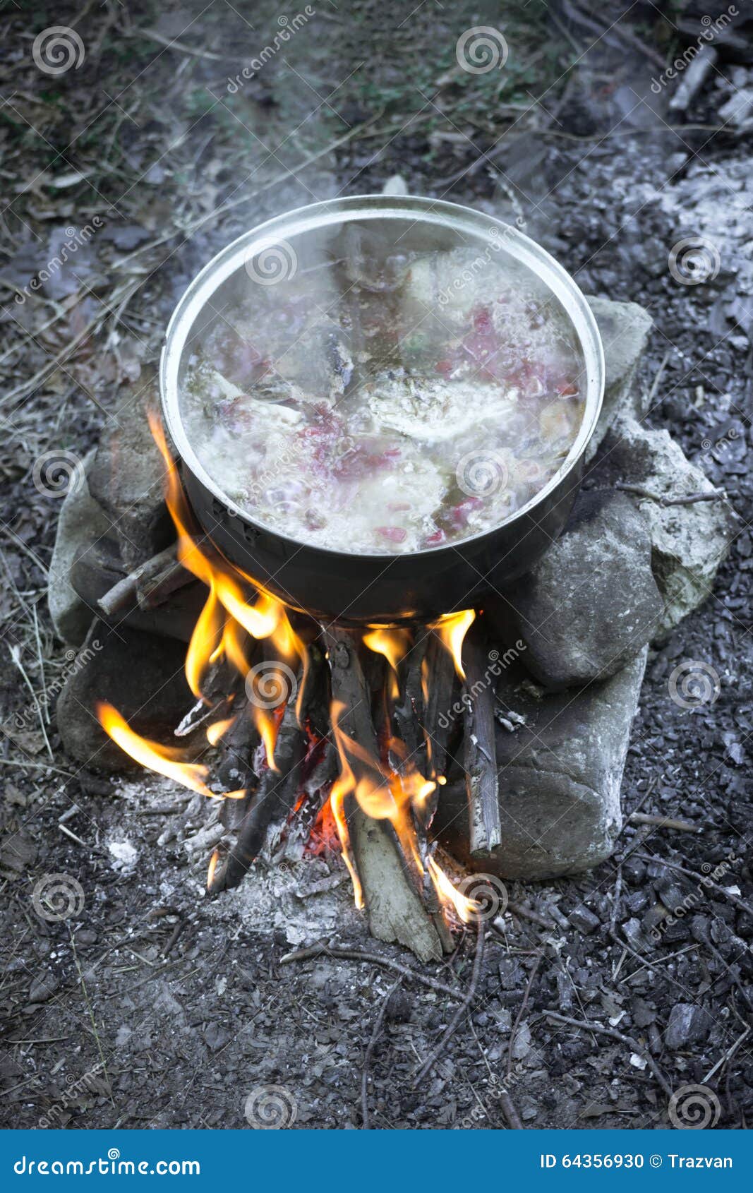 Cooking on campfire stock photo. Image of activity, dinner - 64356930