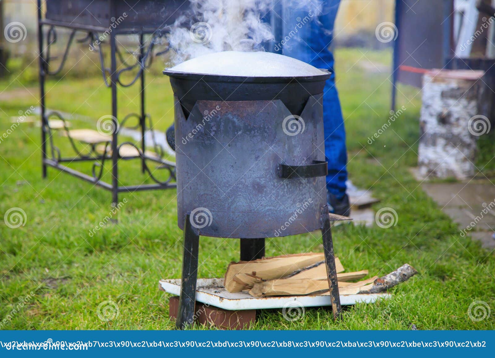 Cooking in a Cauldron on the Fire. Picnic Outdoors in Summer Stock ...