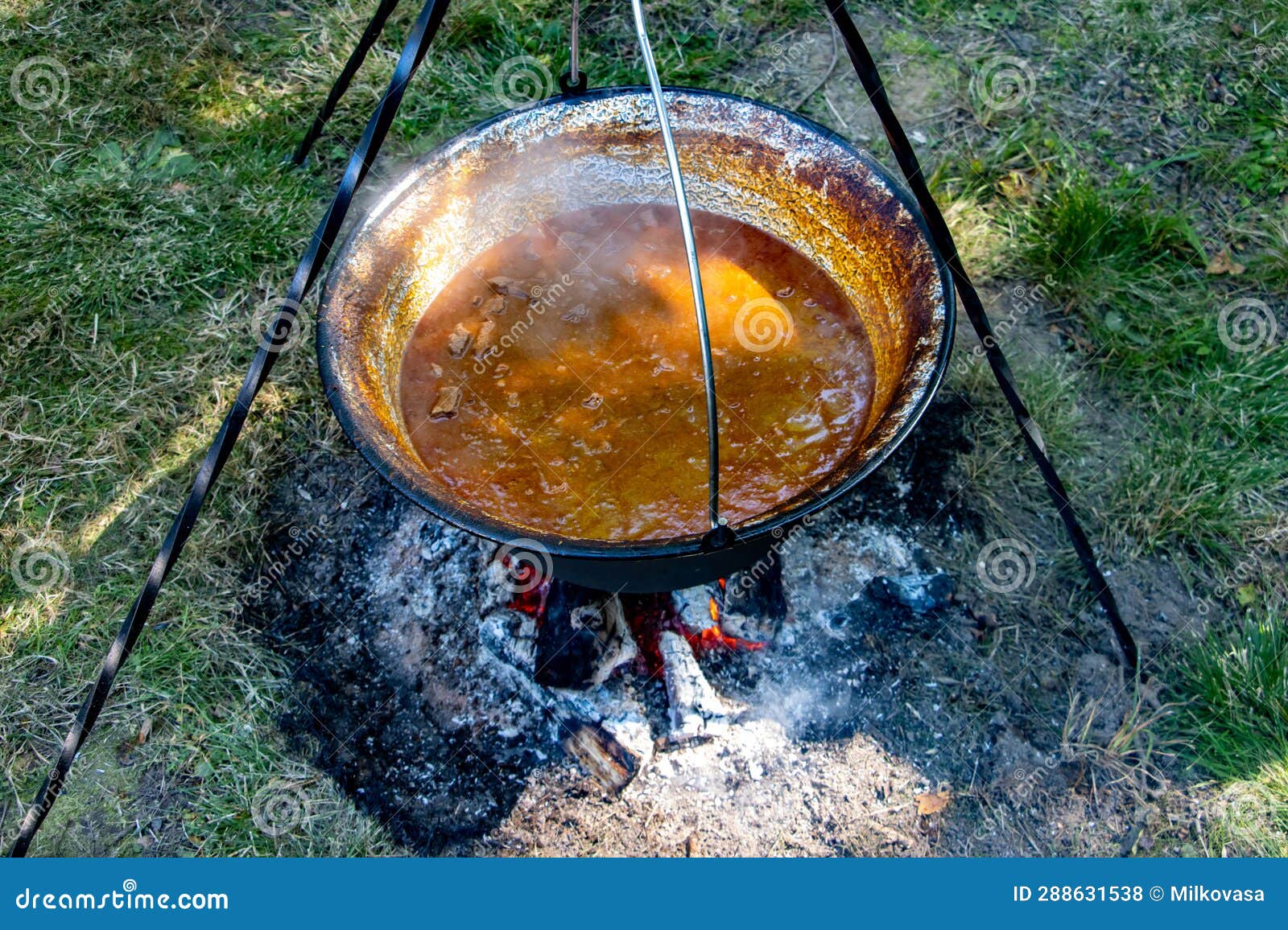 Cooking in a Cauldron on an Open Fire in Nature Stock Photo - Image of ...