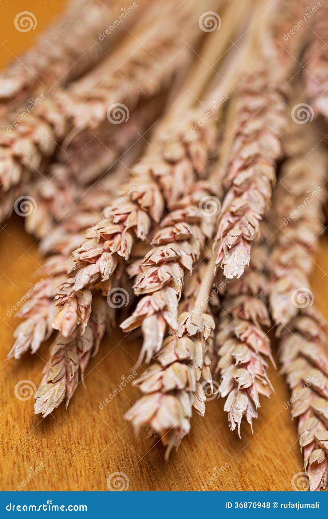 Cooking, Close-up. Bunch of Rye on the Table Stock Photo - Image of ...