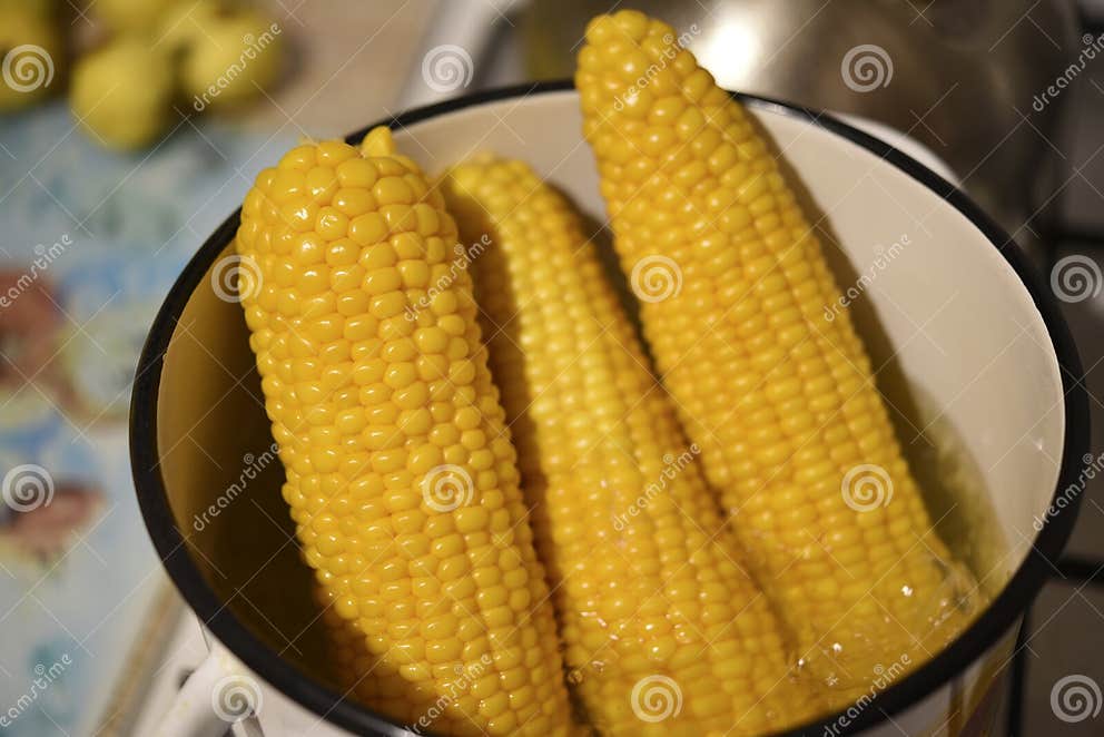 Cooking Corn on the Cob. a Delicacy Made of Corn Stock Photo - Image of ...