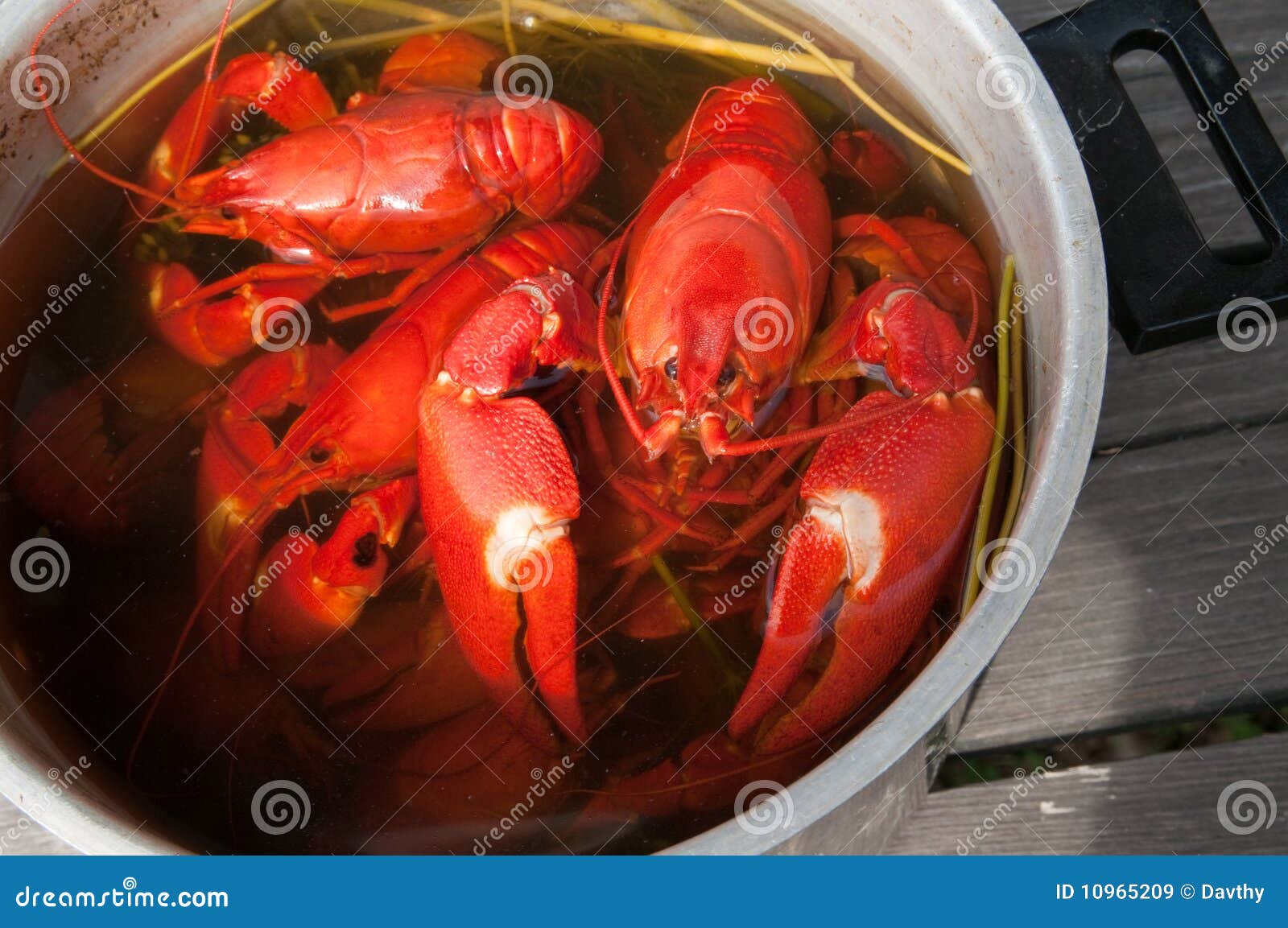 Cooking crayfish stock image. Image of claw, summer, people - 10965209