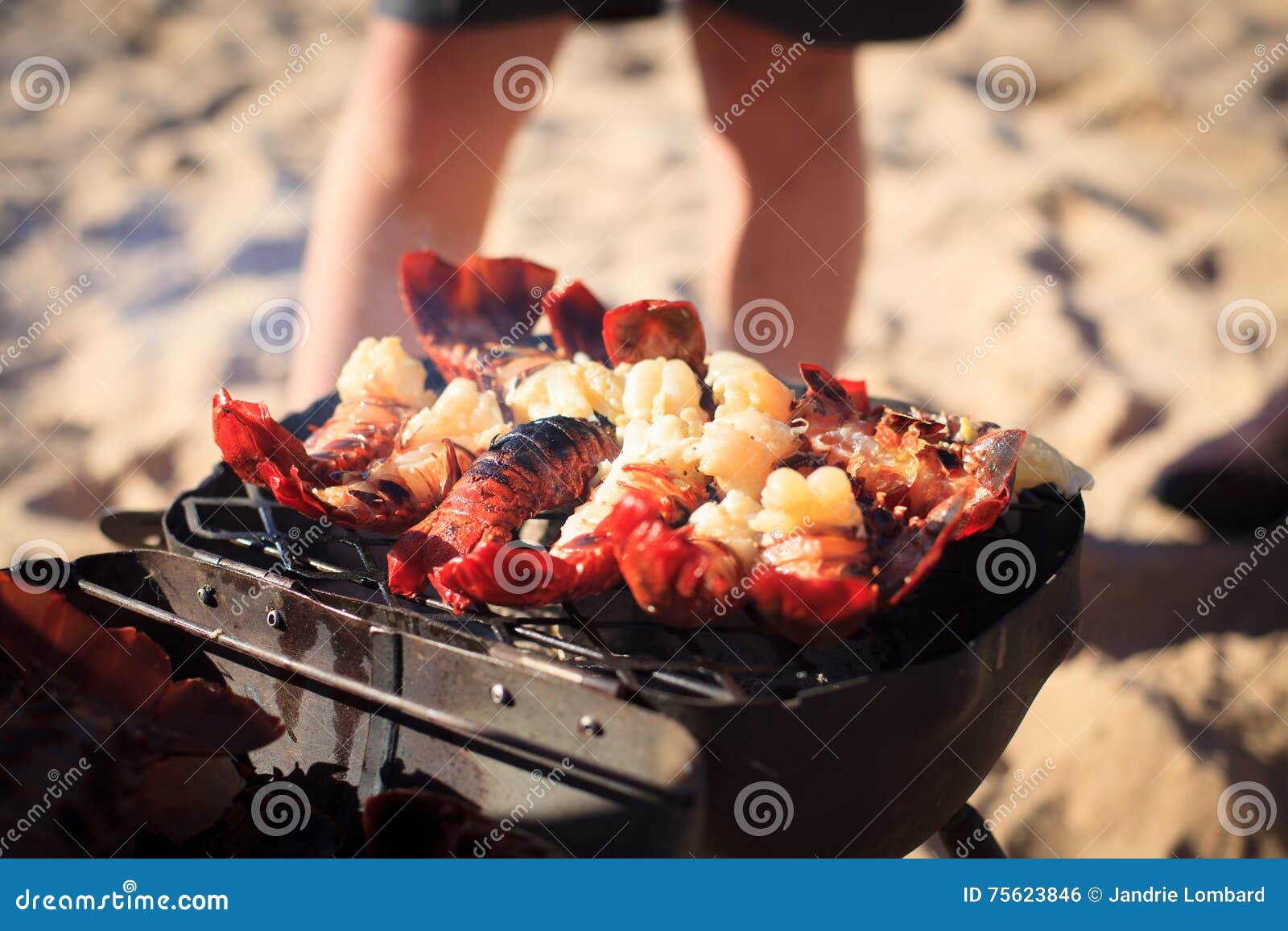 Cooking Crayfish on the Beach Stock Photo - Image of preparing, coals ...