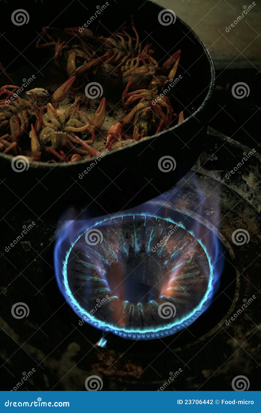 Cooking Crayfish on a Gaz Cooker Stock Photo - Image of fire, focus ...