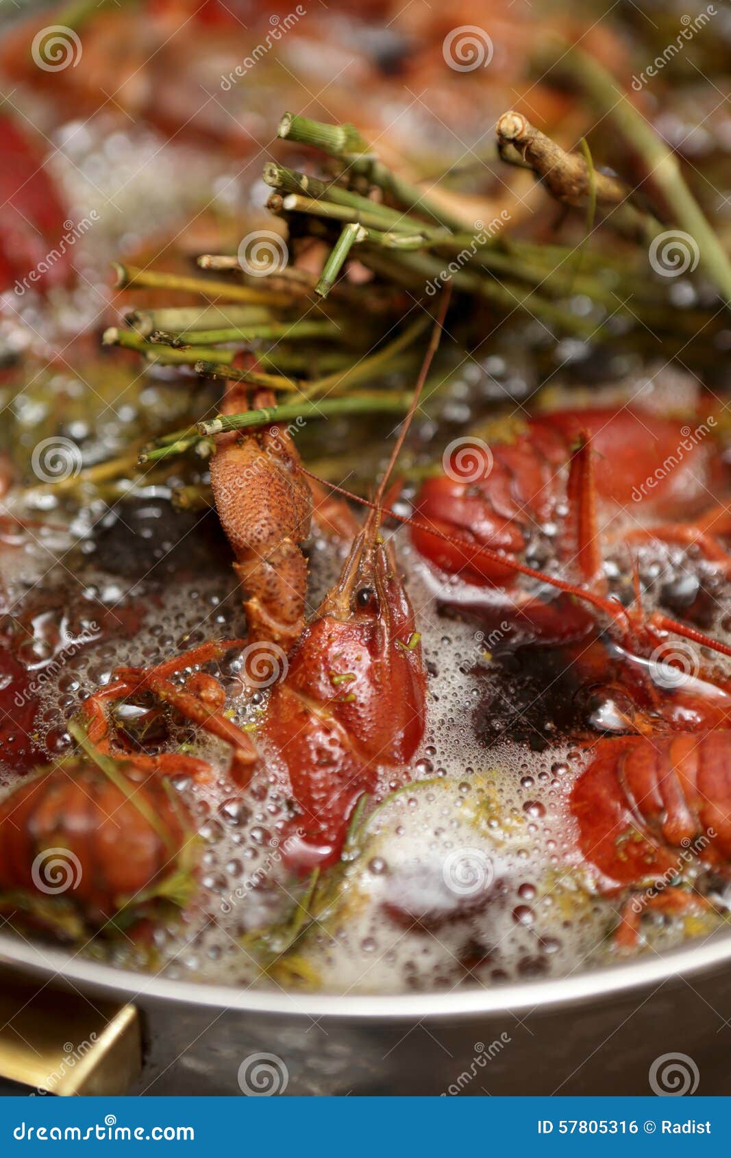 Cooking of Crayfish with Spices Stock Photo - Image of heat, culture ...
