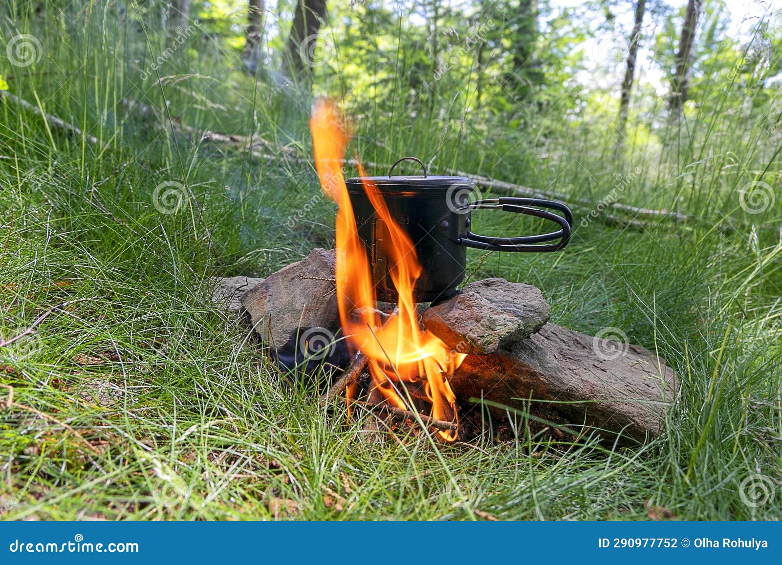 Cooking on Fire at Campsite Stock Photo - Image of summer, trip: 290977752