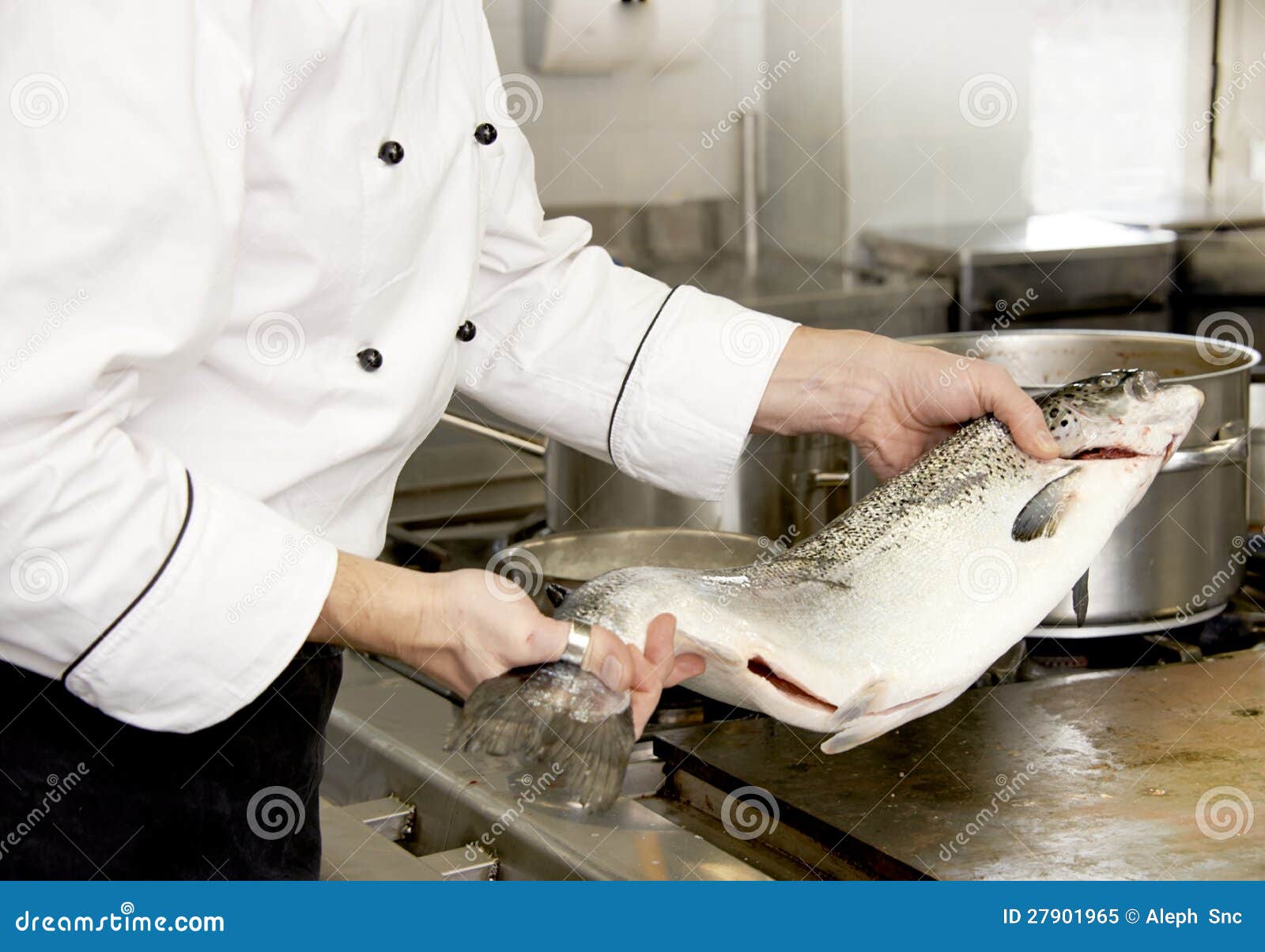 Cooking Fish On Gas Stove Stock Photography | CartoonDealer.com #92004782