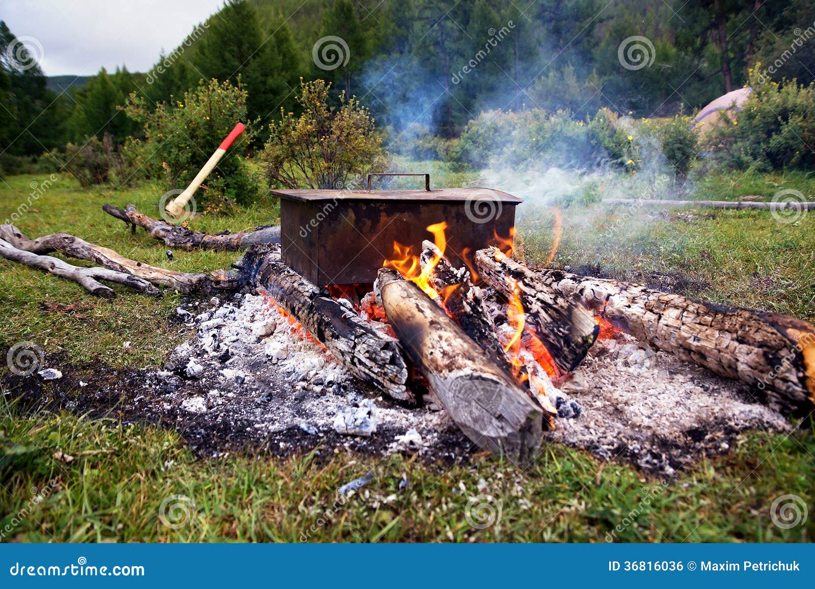 Cooking fish on a fire stock photo. Image of food, firewood - 36816036