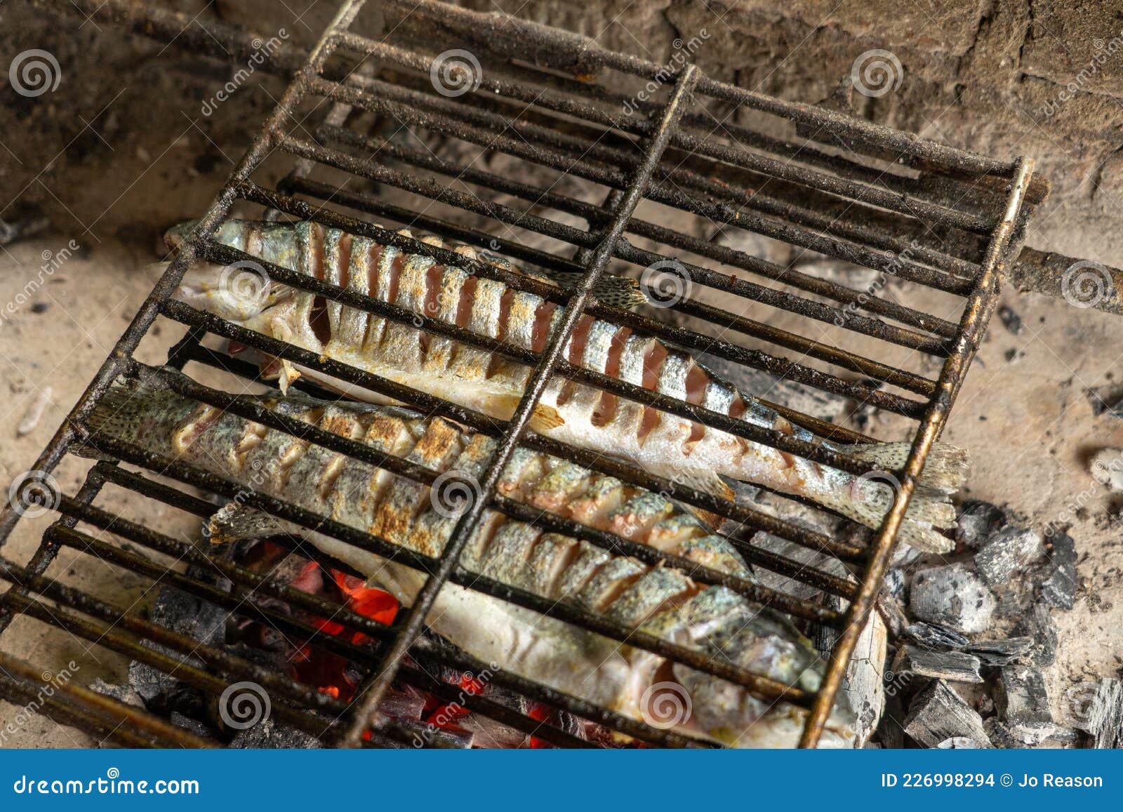 Cooking fish on a fire stock photo. Image of roast, black - 226998294
