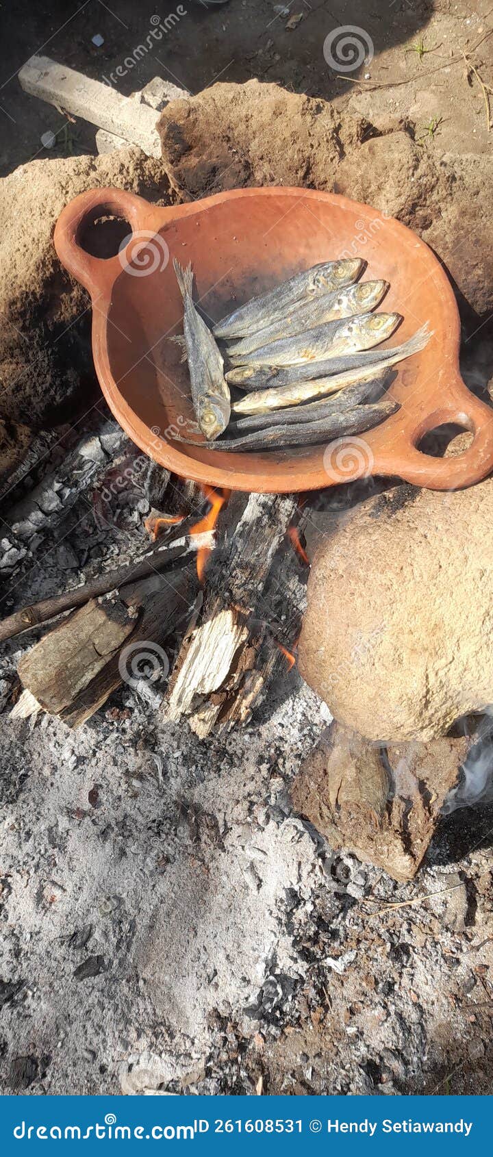Cooking fish with firewood stock image. Image of firewood - 261608531
