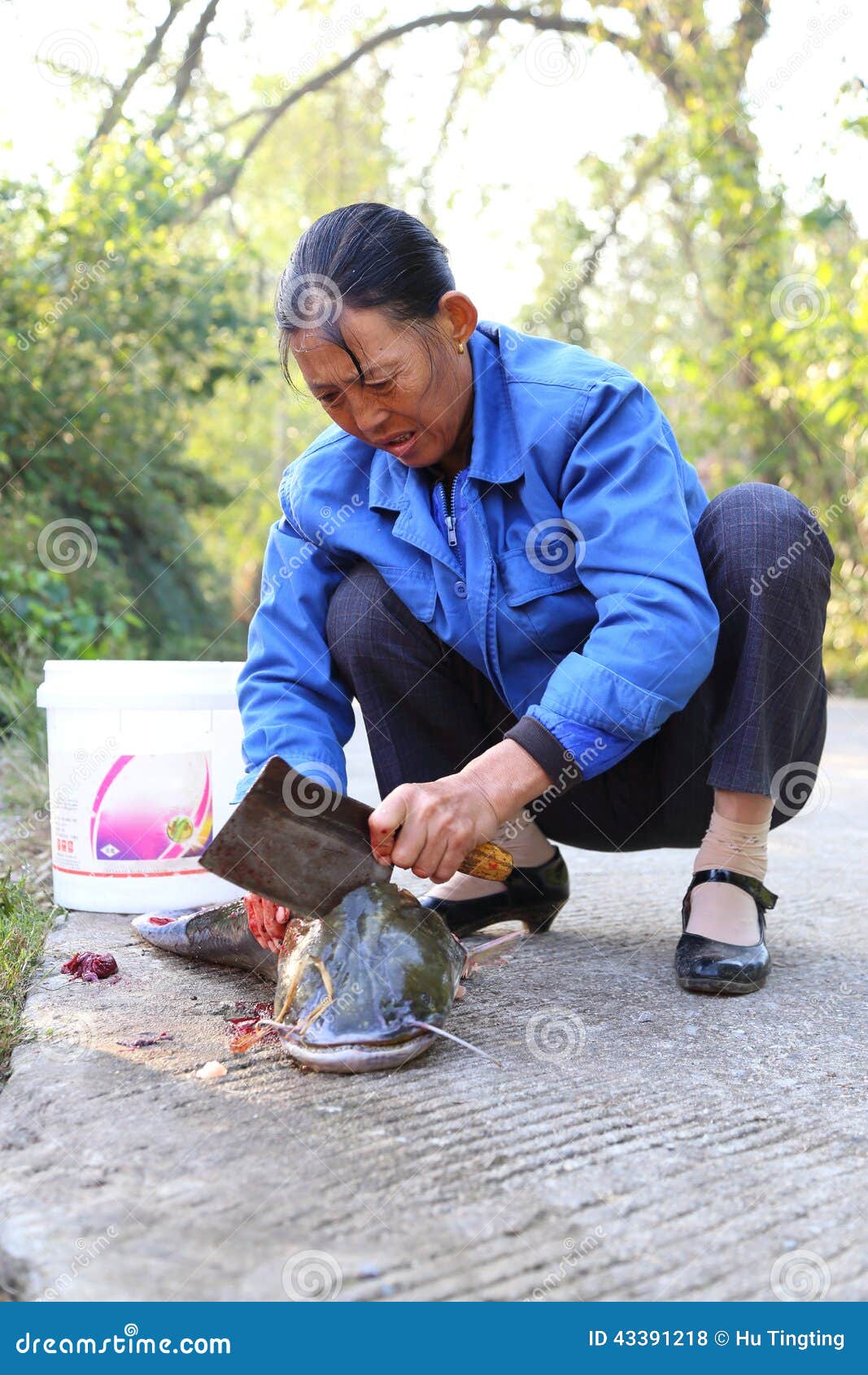 Cooking fish stock photo. Image of agriculture, dusk - 43391218